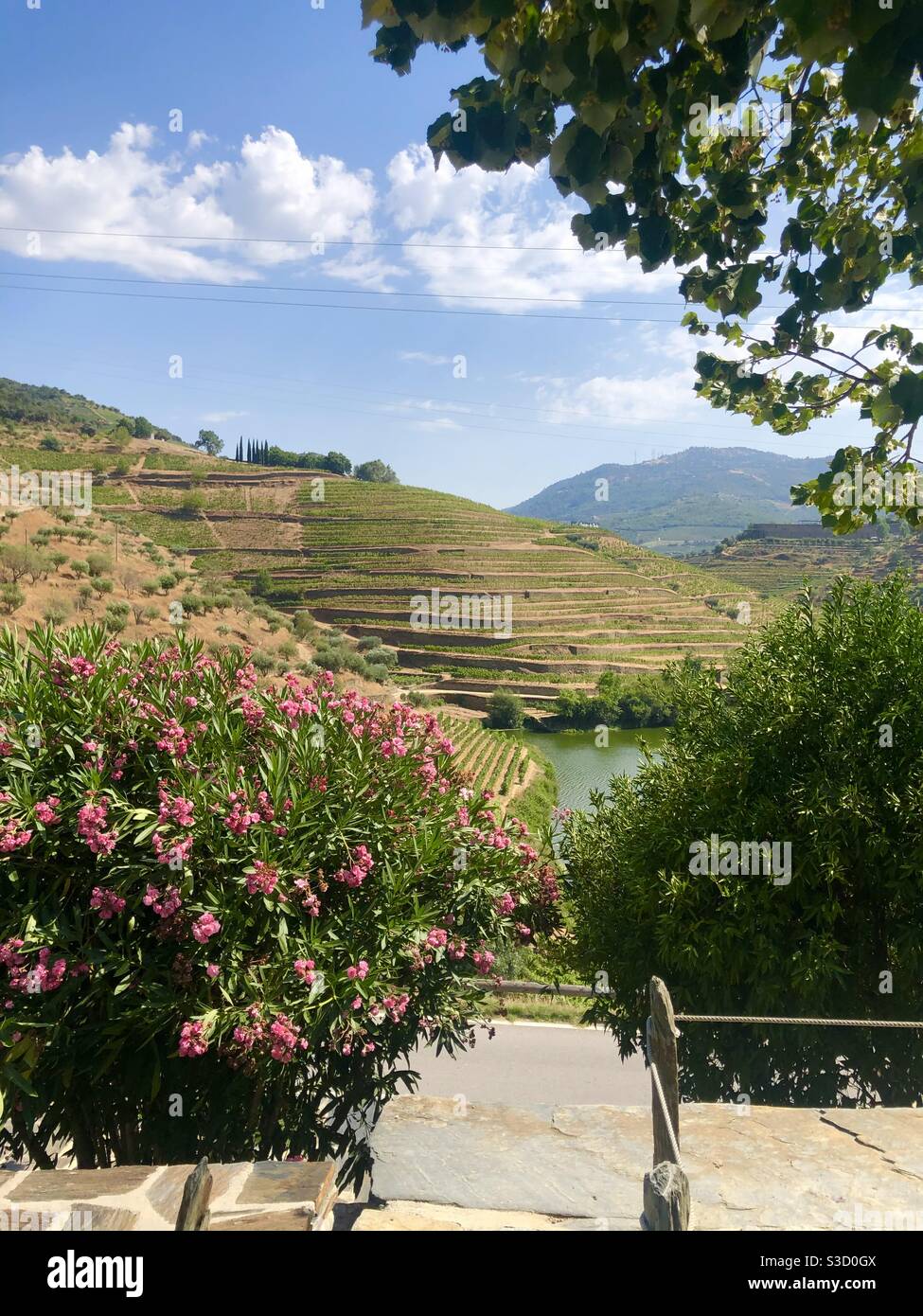 Porto valley hi-res stock photography and images - Alamy