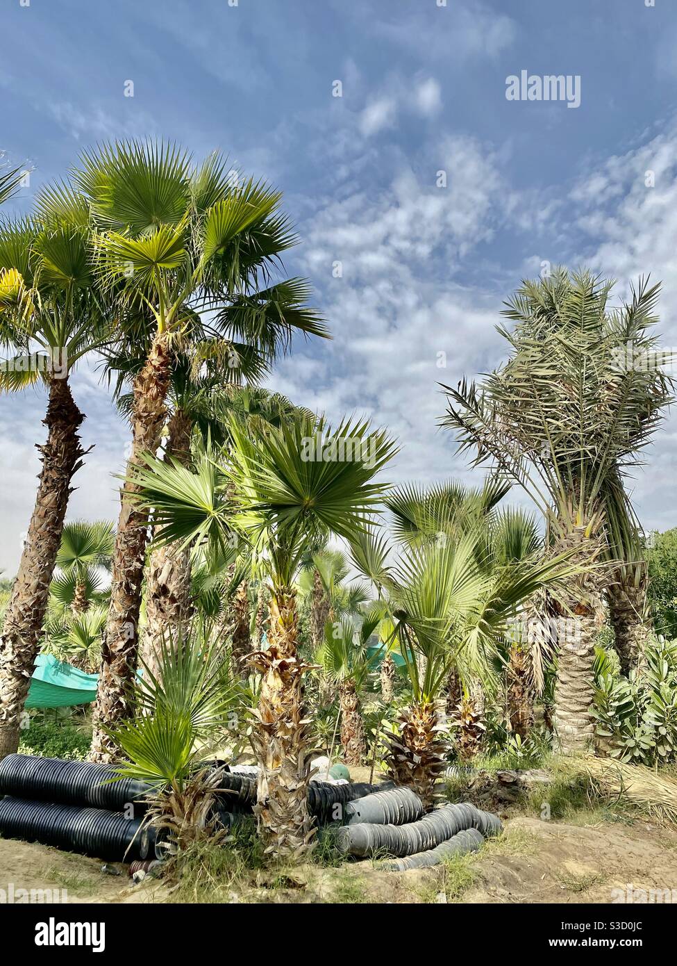 Nice Farm High Resolution Stock Photography and Images - Alamy