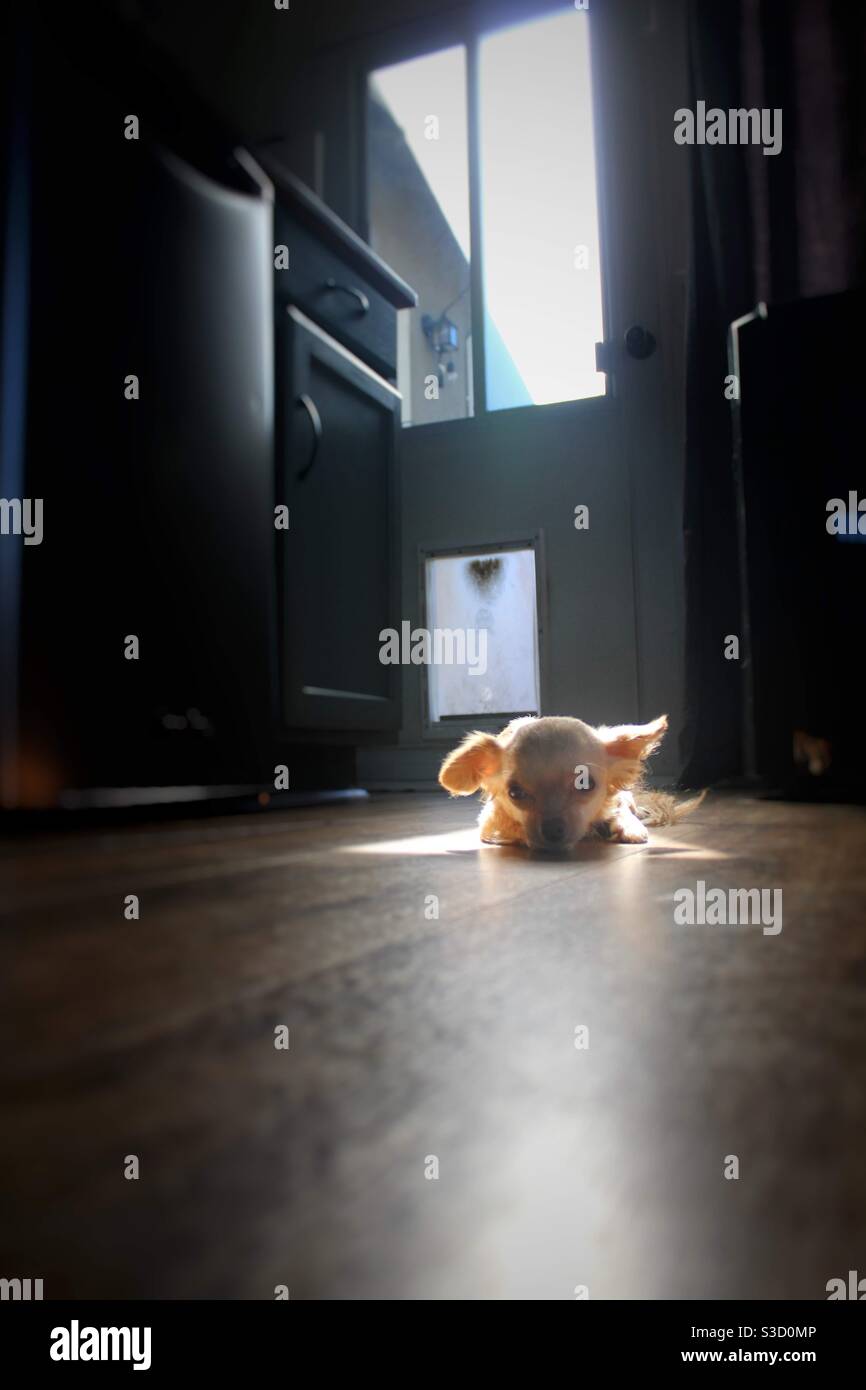 Keeping warm in the sun hi-res stock photography and images - Alamy