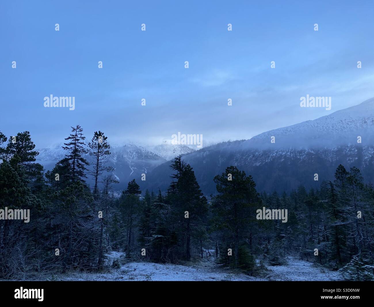 Temperate rain forest alaska hi-res stock photography and images - Alamy