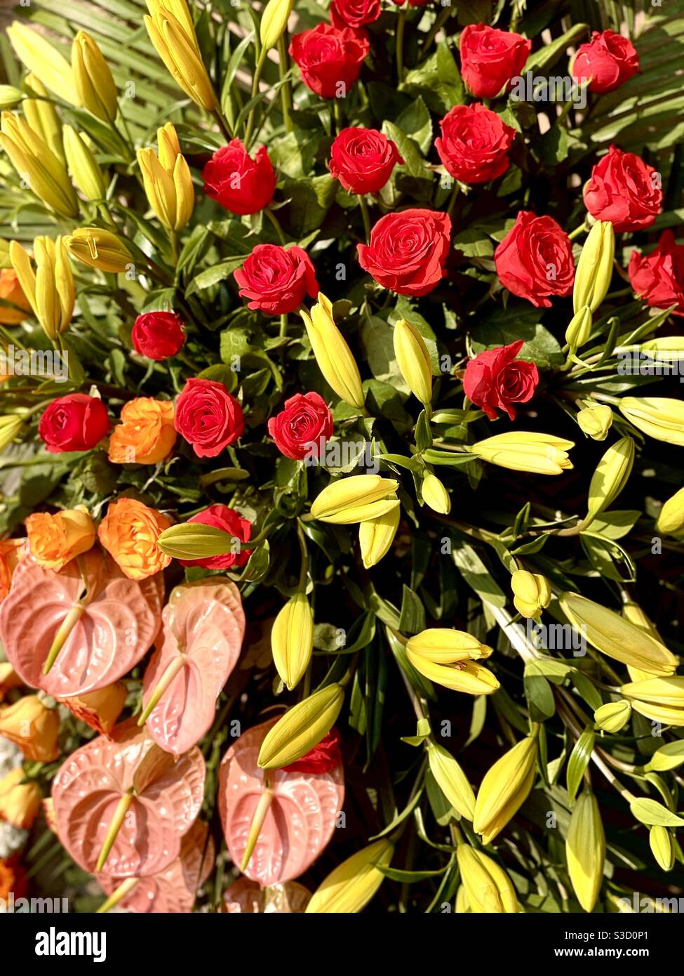 Red and yellow flowers mixed hi-res stock photography and images - Alamy