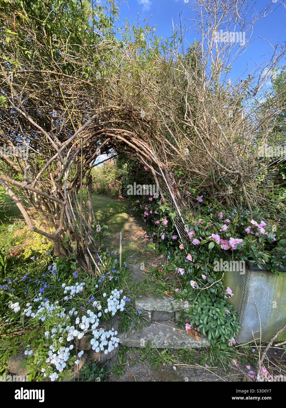 Rose arch hi-res stock photography and images - Alamy
