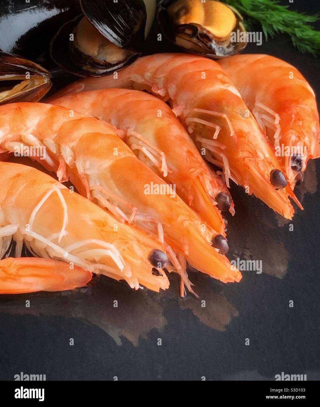 Seafoods seafood hi-res stock photography and images - Alamy