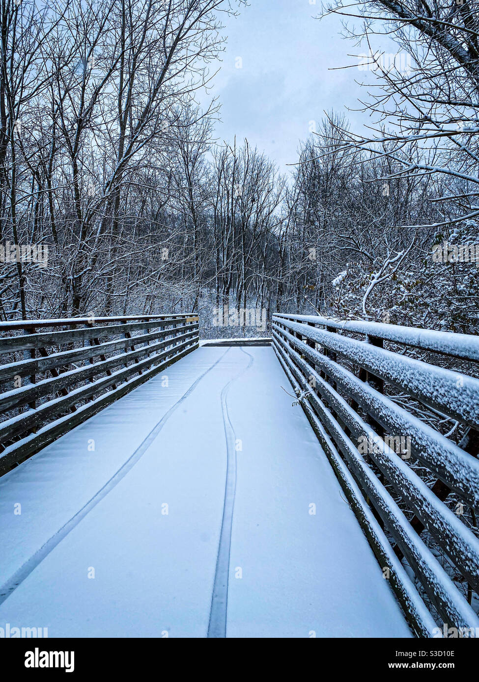 Bridge leading into the trees hi-res stock photography and images - Alamy