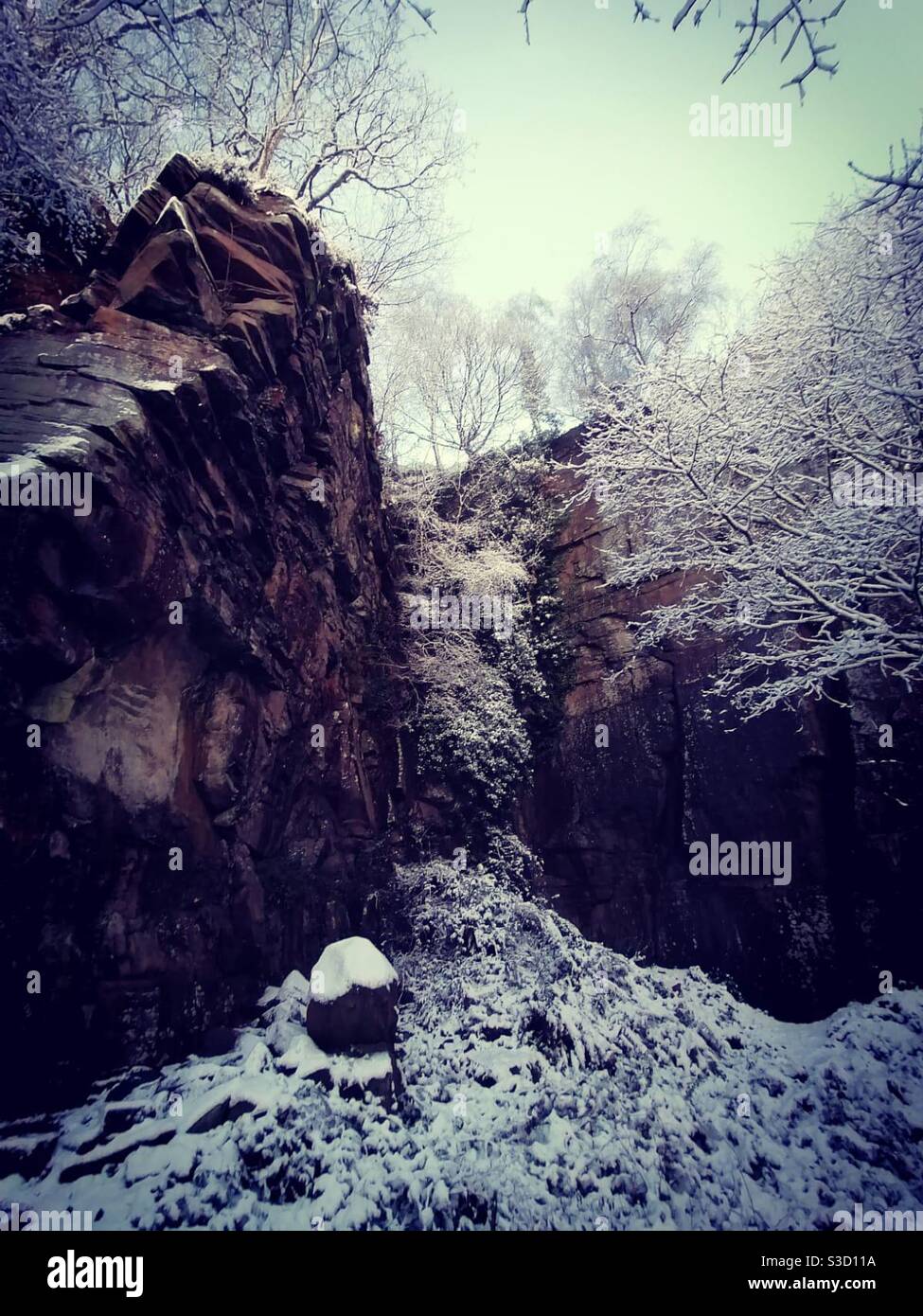 A photograph of a small old quarry site with trees and rocks covered in ...