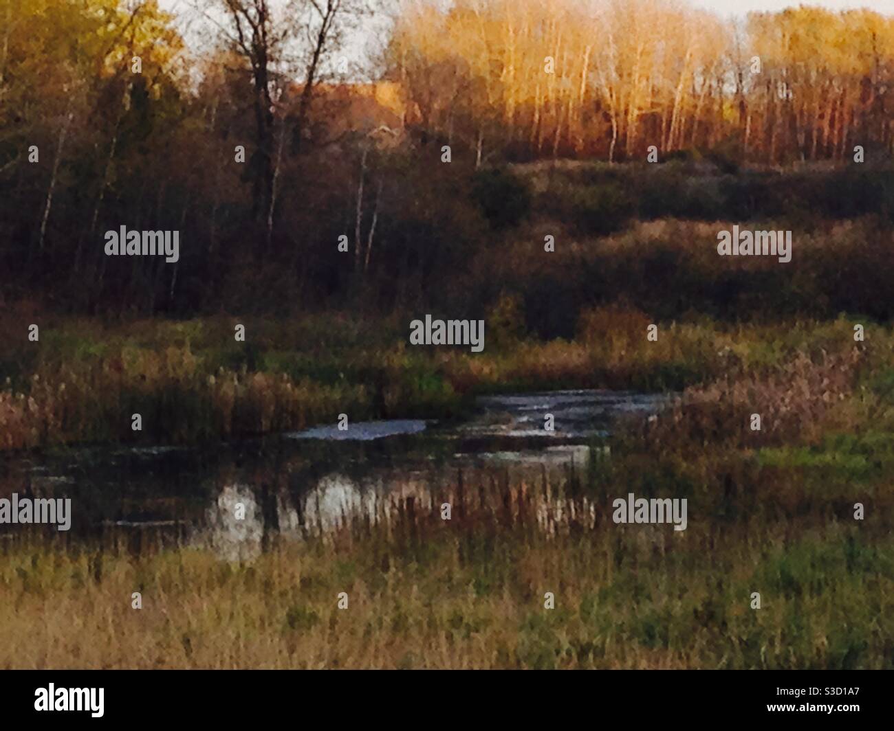 Fall foliage scene hi-res stock photography and images - Alamy