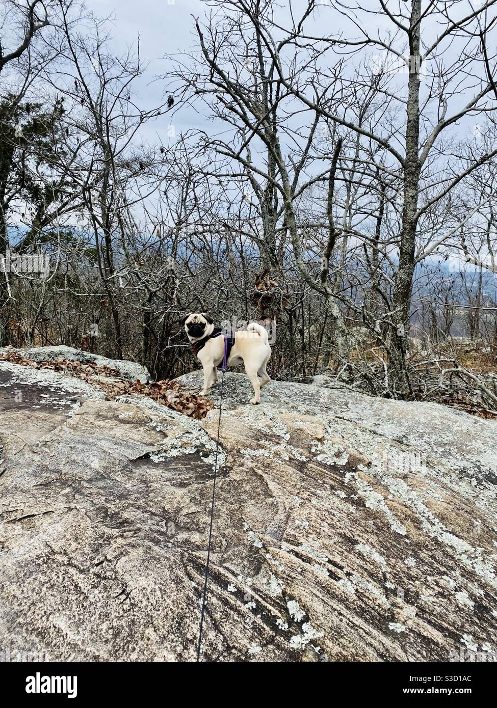 Kennesaw mountain hi-res stock photography and images - Alamy