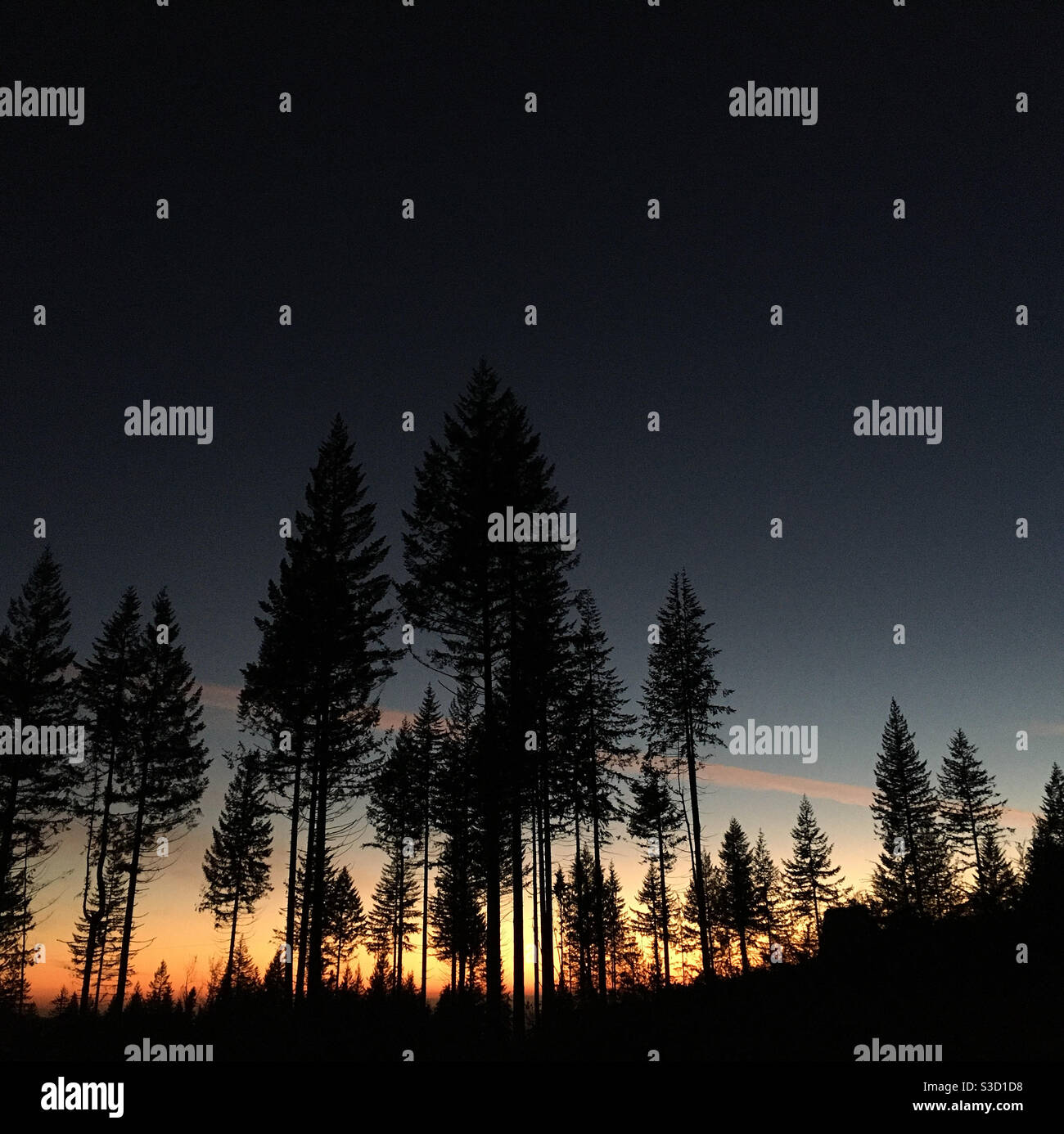 Twilight delight hi-res stock photography and images - Alamy