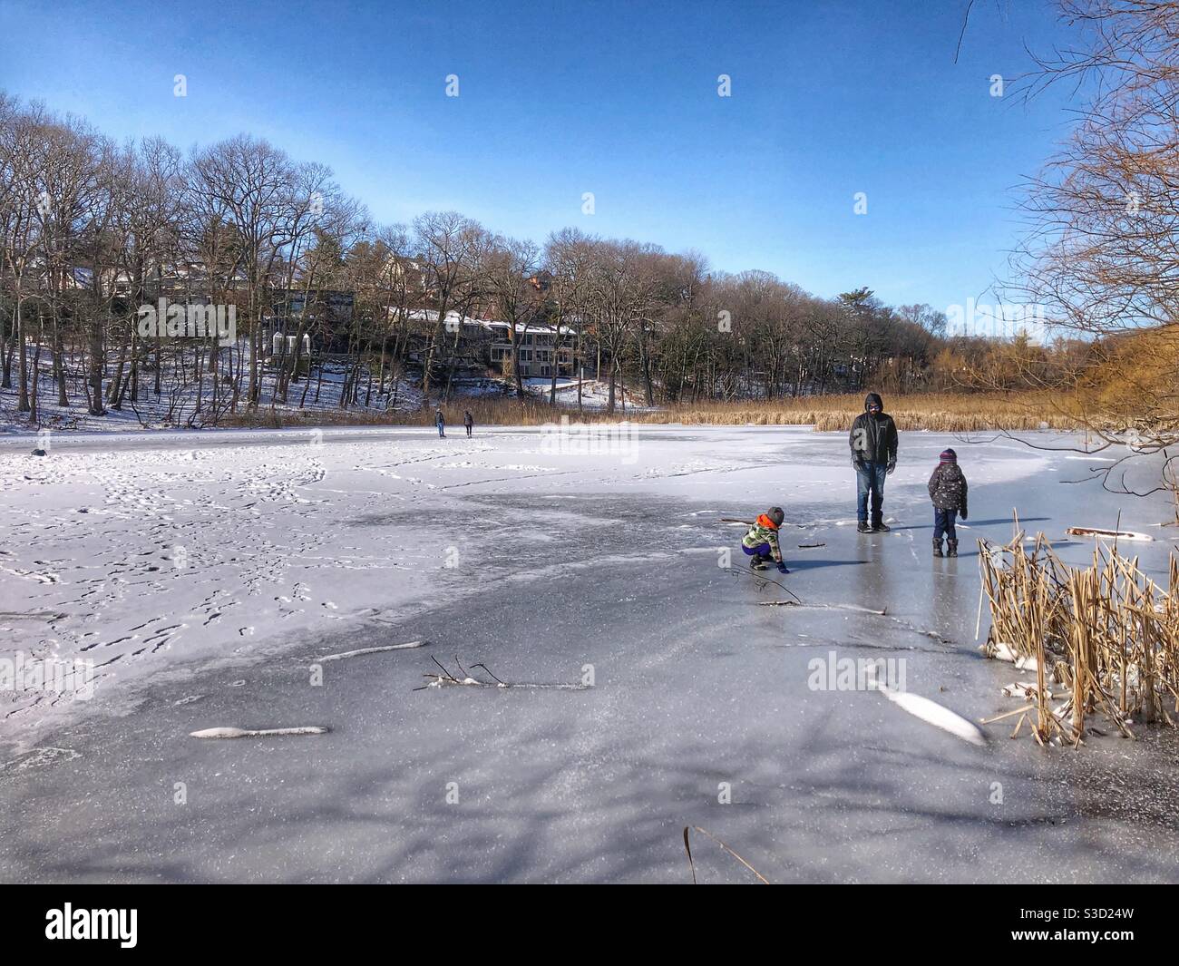 Frozen flora hi-res stock photography and images - Alamy