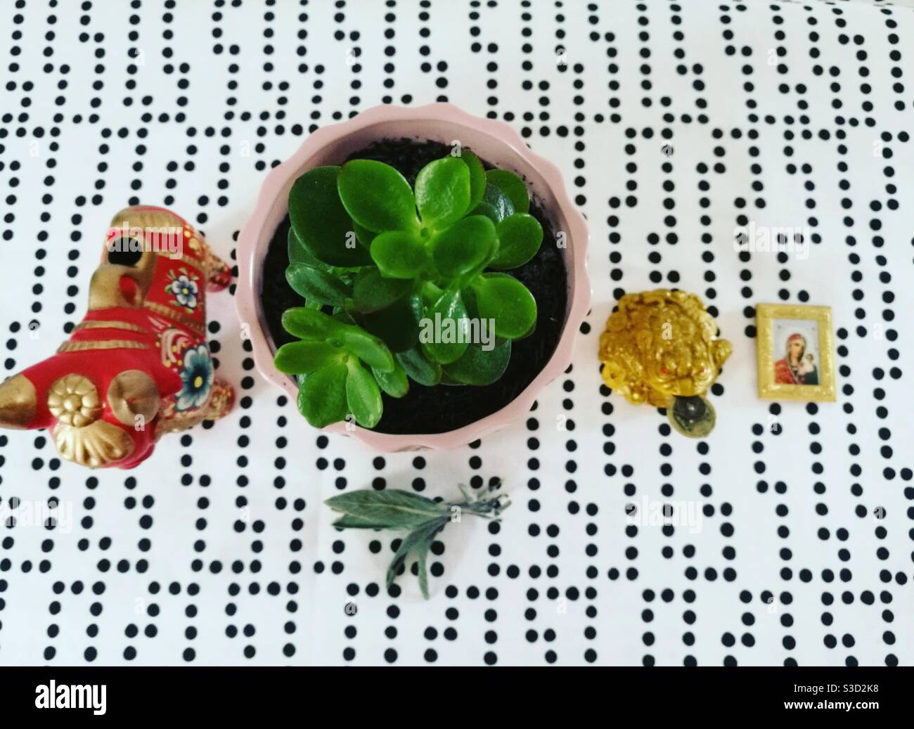 My household good luck charms: money tree, sage leaves, three-legged ...