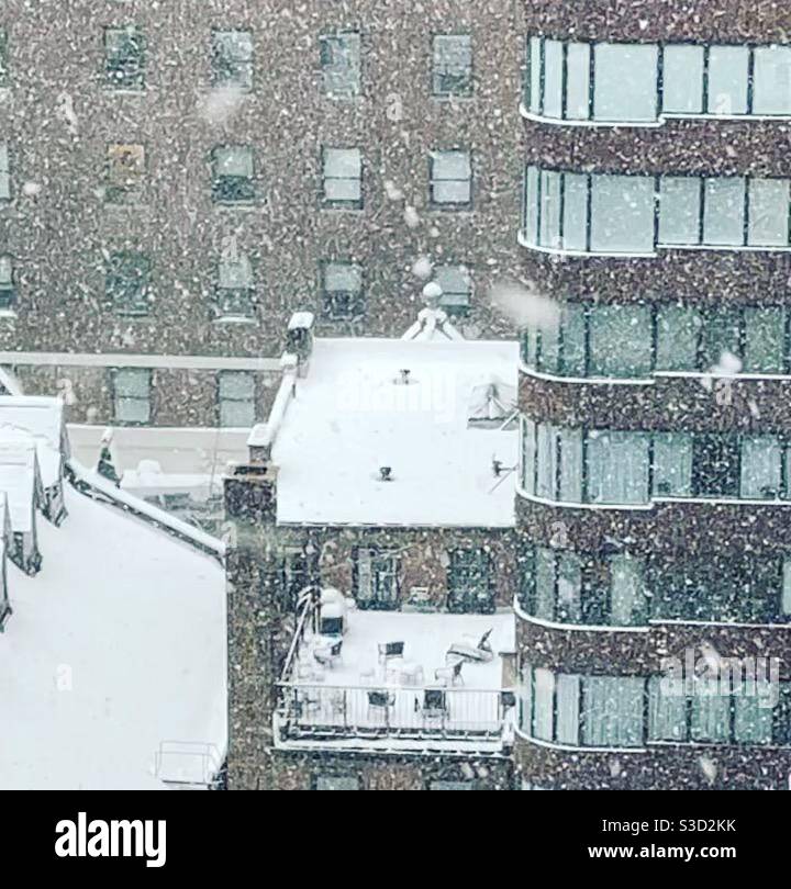 Snow falling during a blizzard in New York City and piling up on ...