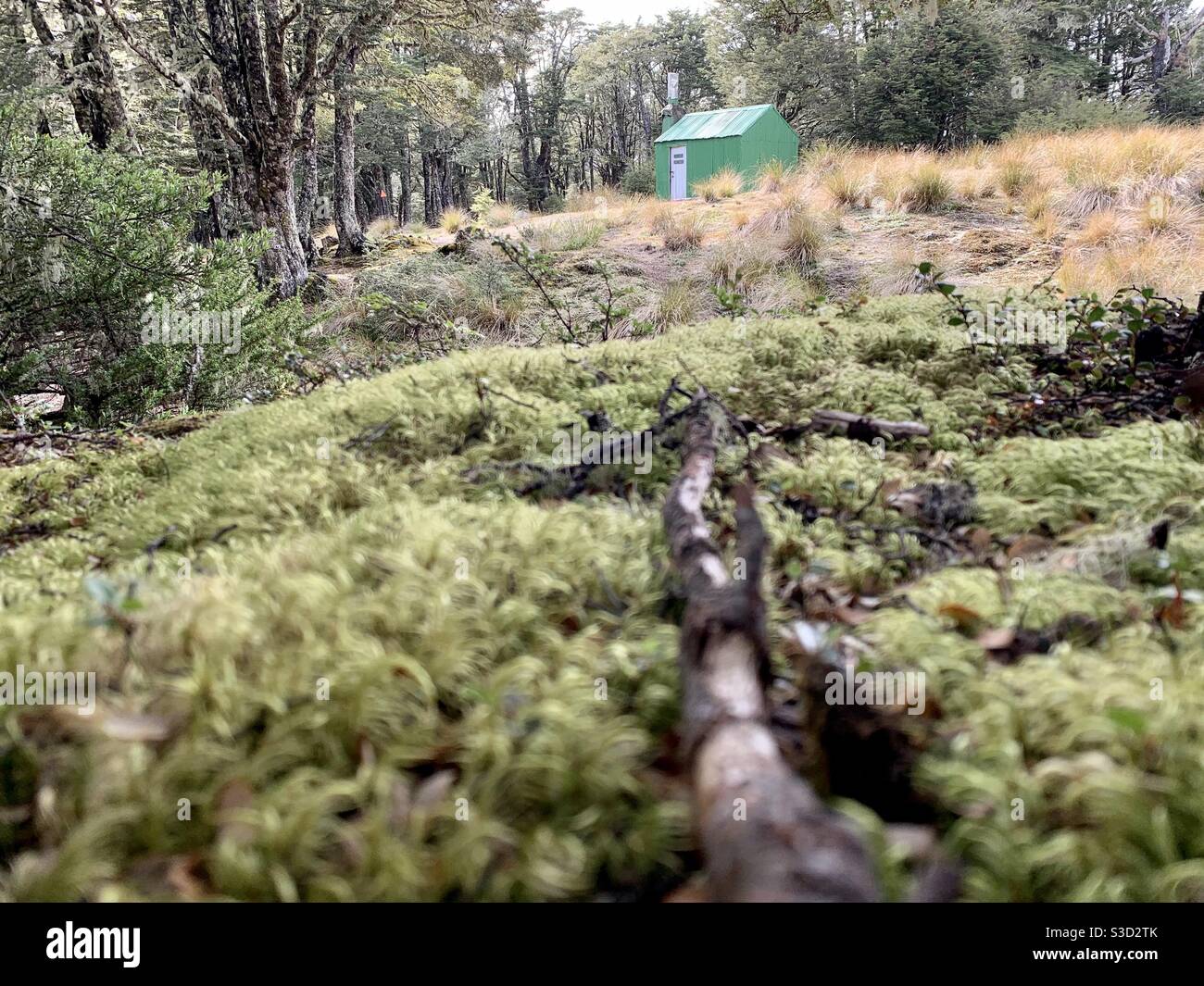 Arthur's pass national park hi-res stock photography and images - Alamy