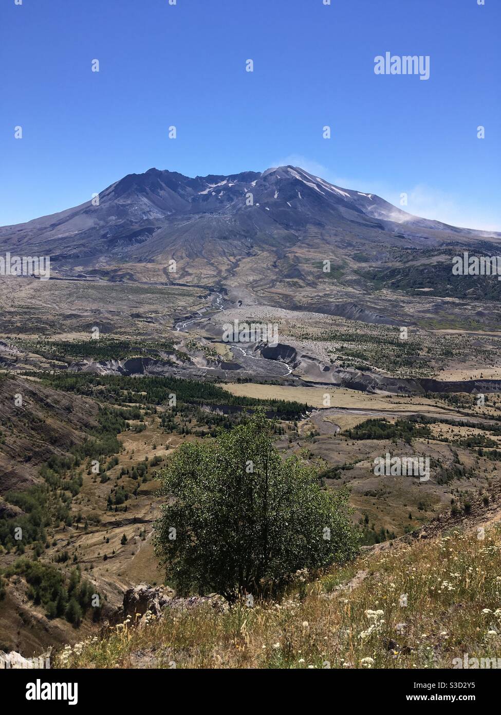 Mt saint helens hi-res stock photography and images - Alamy