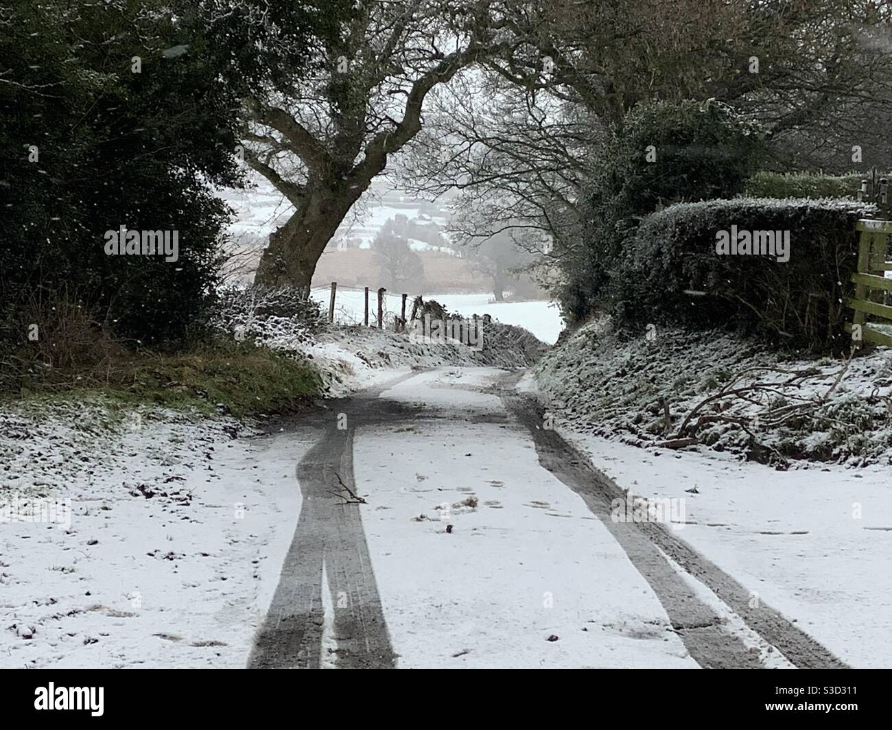 UK Weather: Snow and wintry conditions in North Yorkshire, England, UK ...