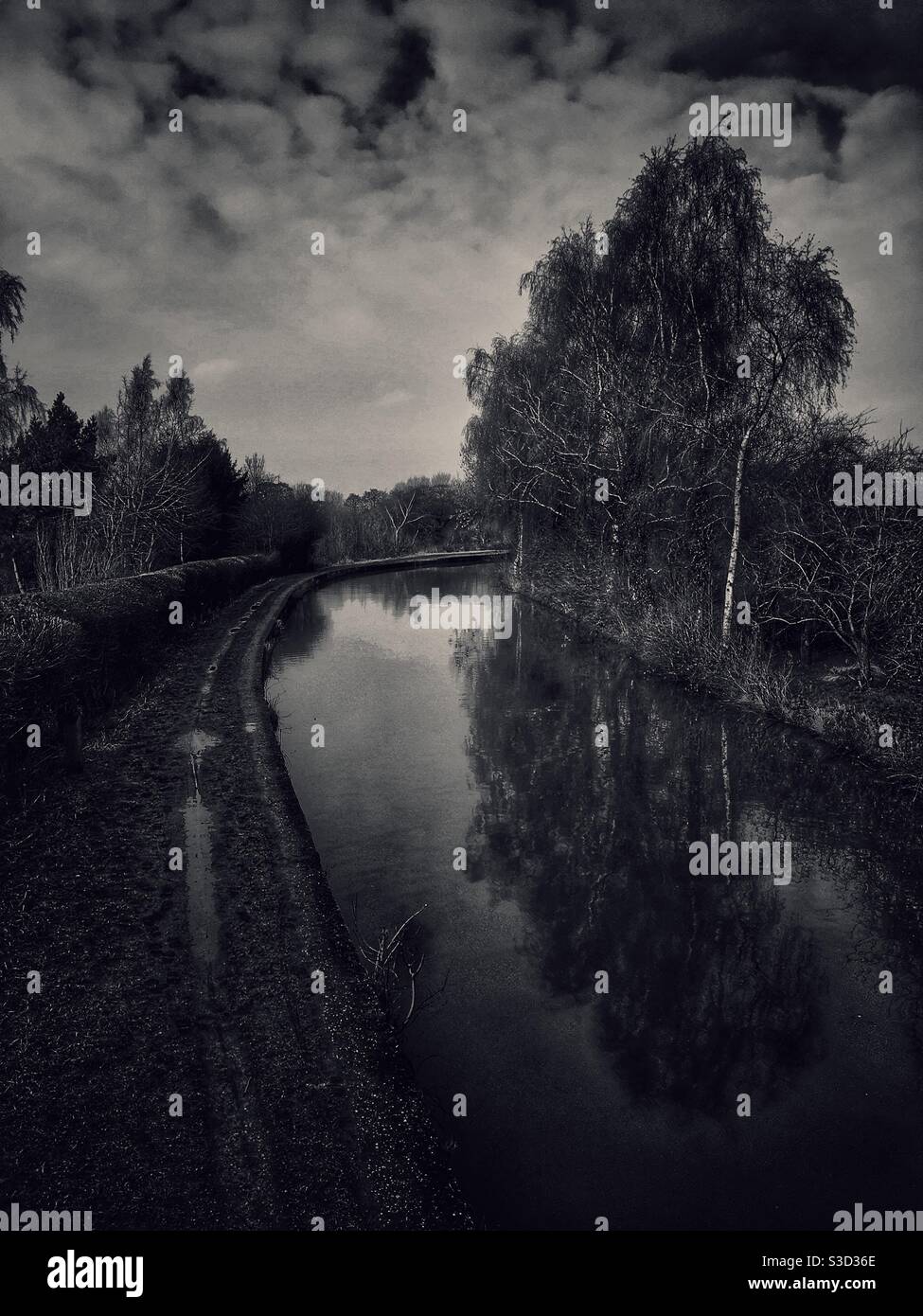 Trent and Mersey canal in Moston Cheshire Uk Stock Photo - Alamy