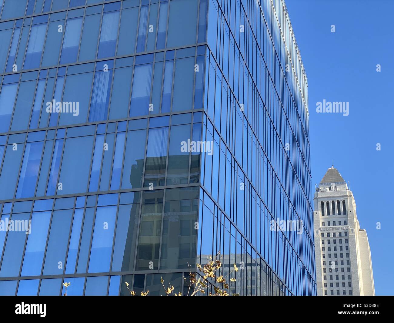 LOS ANGELES, CA, NOV 2020: rear view close on Los Angeles Police ...