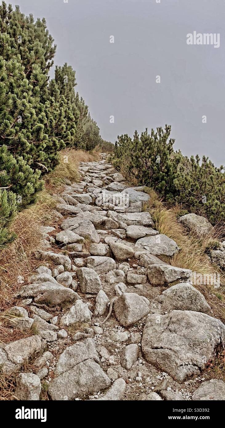 Hike rocks hi-res stock photography and images - Alamy