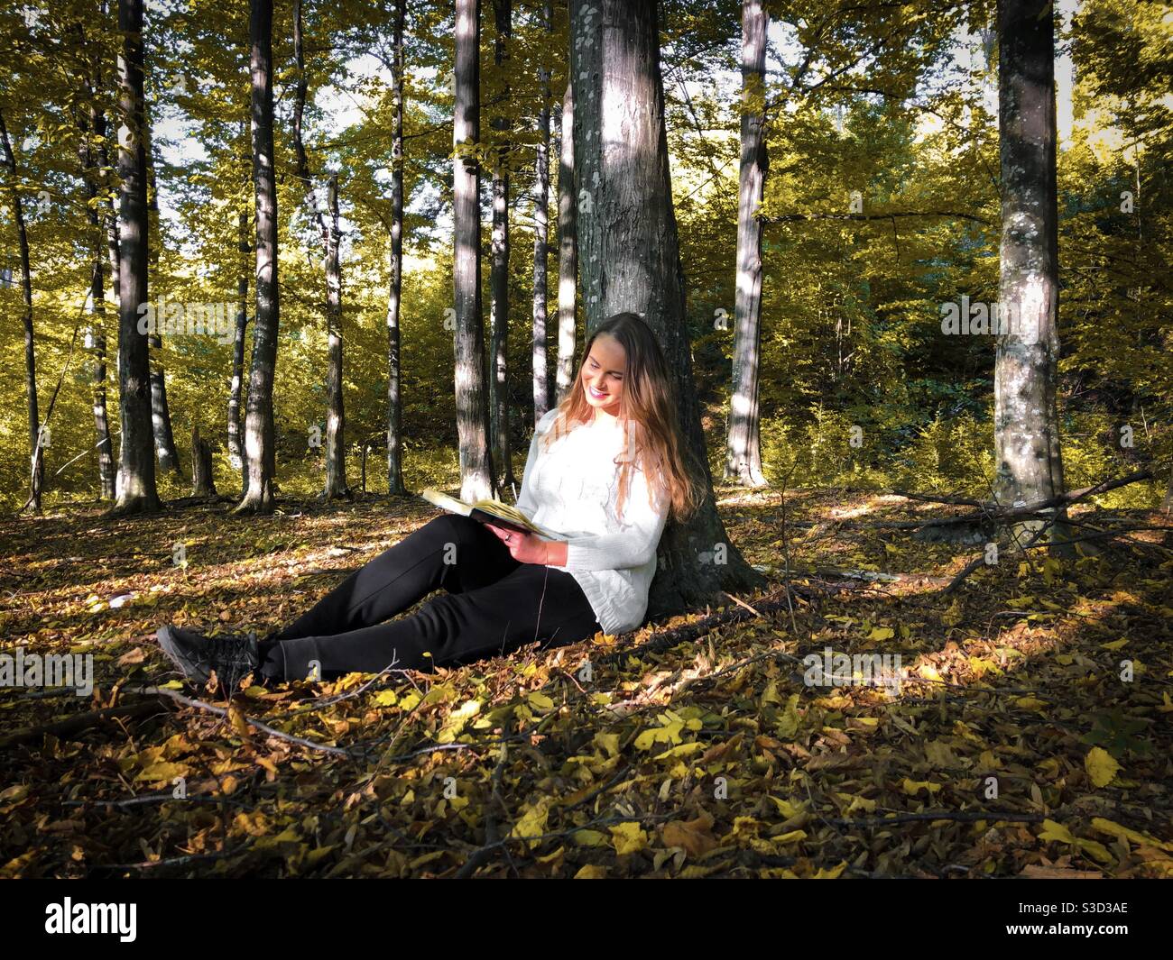 Woman reading under a tree in autumn Stock Photo - Alamy
