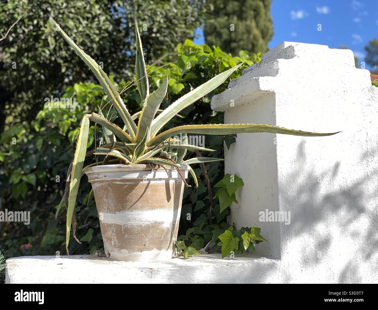 Pitera hi-res stock photography and images - Alamy