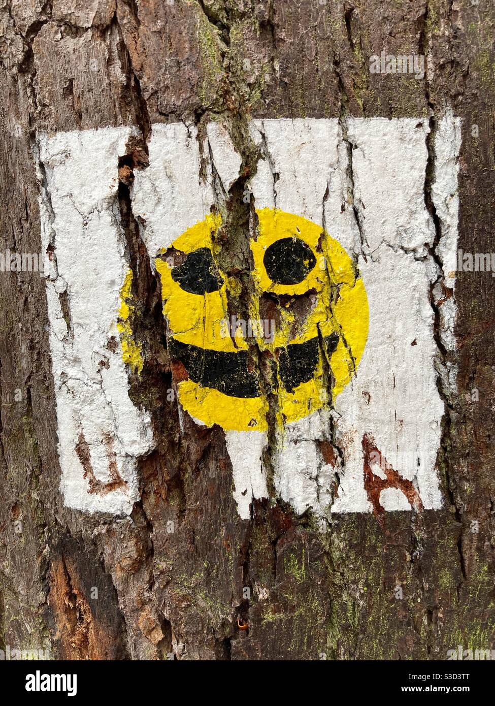 A Yellow smiley Emoji on a tree Stock Photo - Alamy