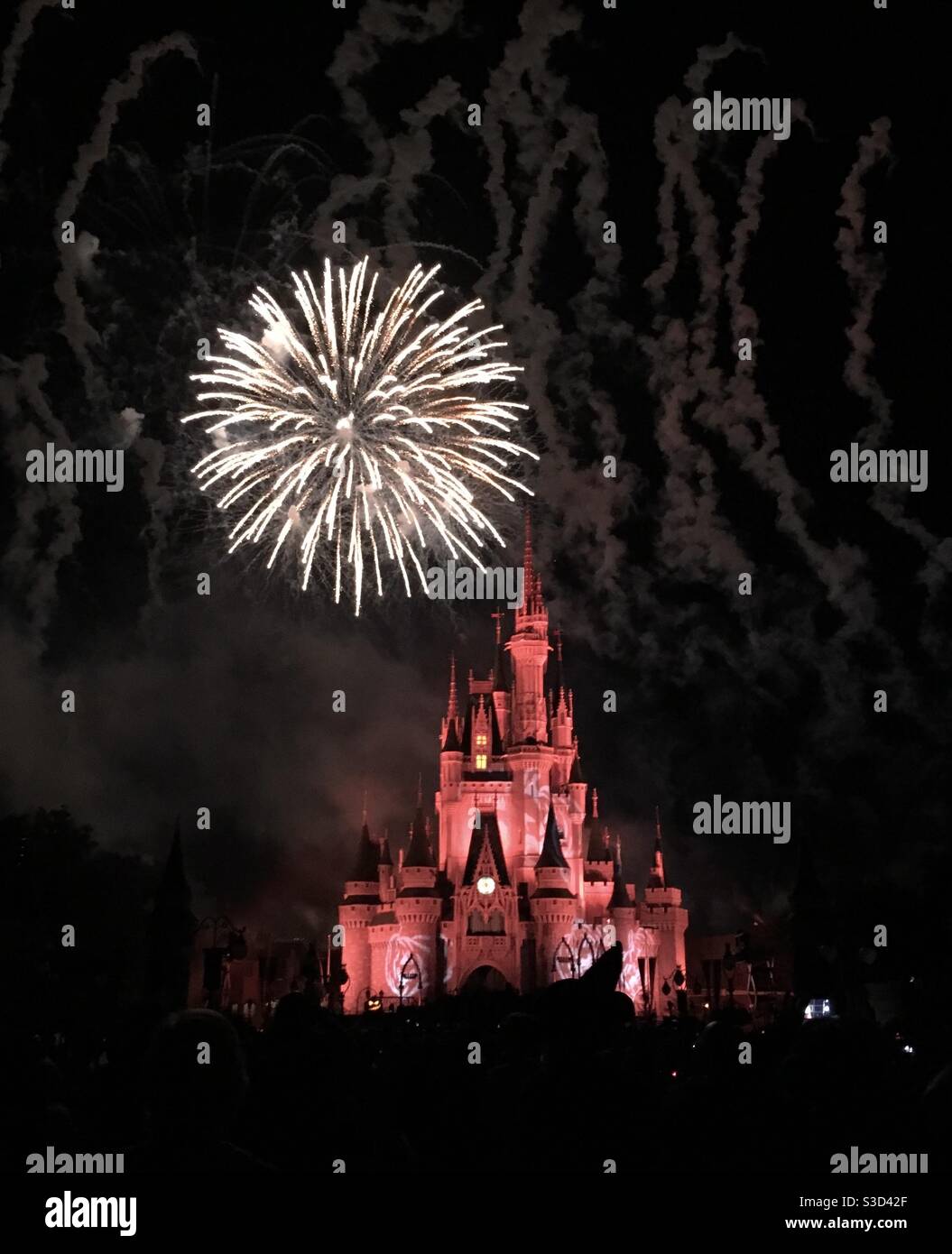 Disneyland Castle At Night With Fireworks
