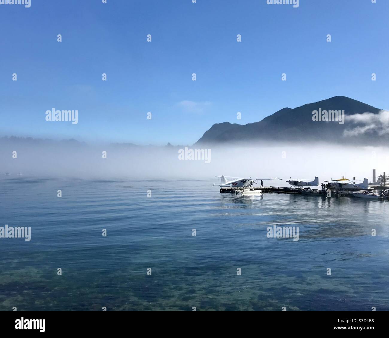 Low lying fog hi-res stock photography and images - Alamy