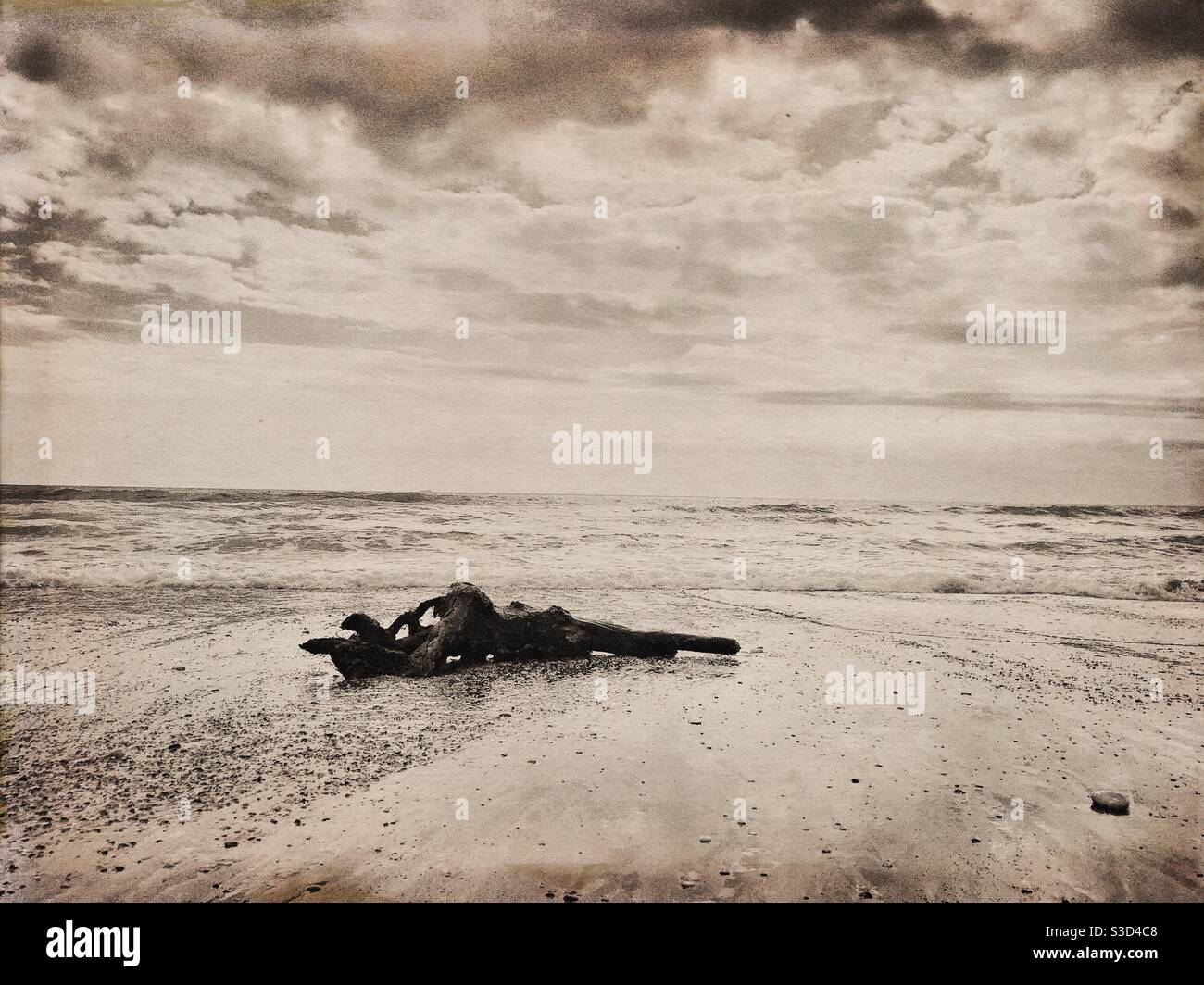 Washed out tree hi-res stock photography and images - Alamy