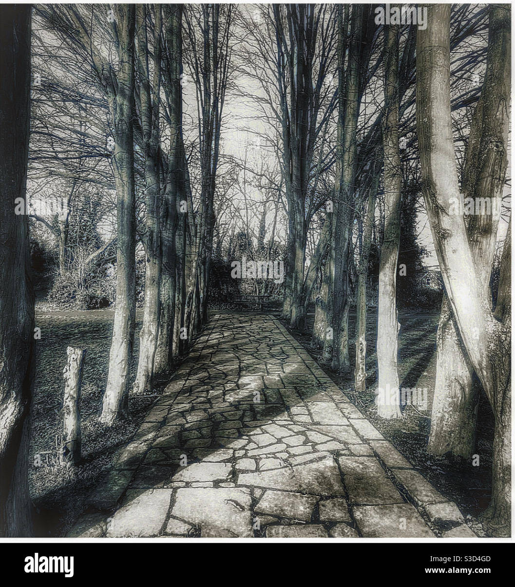 Path through Brenchley Gardens in South London Stock Photo - Alamy