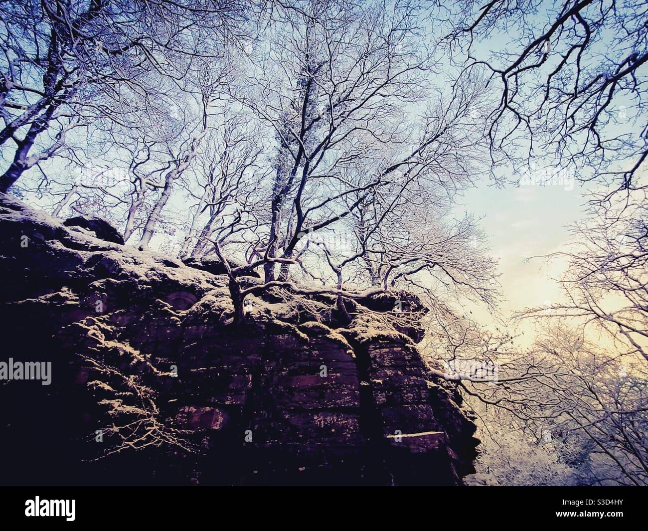 A photograph of an outcrop of rock in a quarry with trees covered in ...