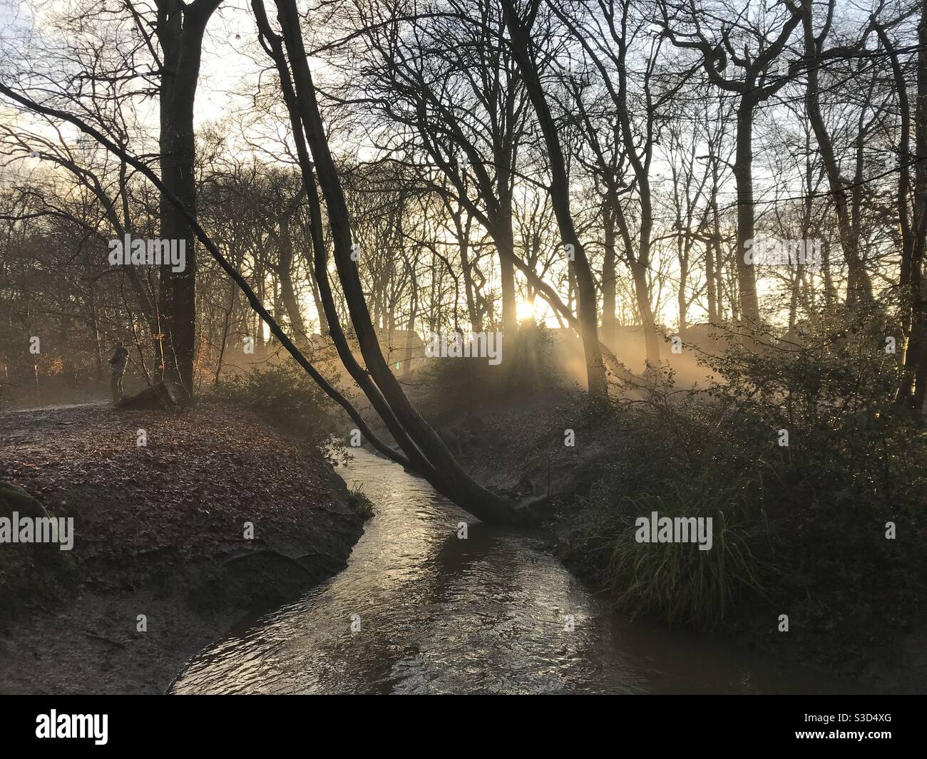 Epping london hi-res stock photography and images - Alamy