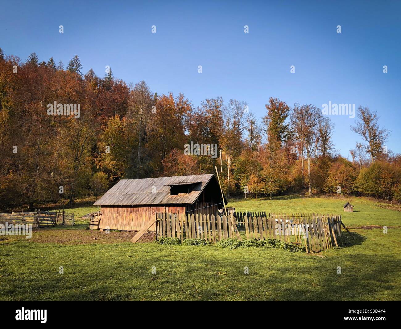 Abandoned wooden barn in autumn Stock Photo - Alamy