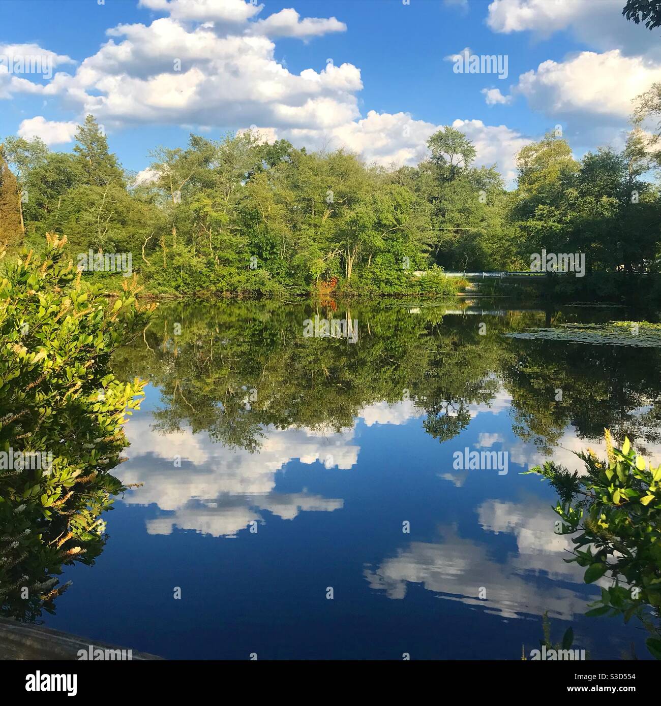 Reflecting Photographer High Resolution Stock Photography and Images ...