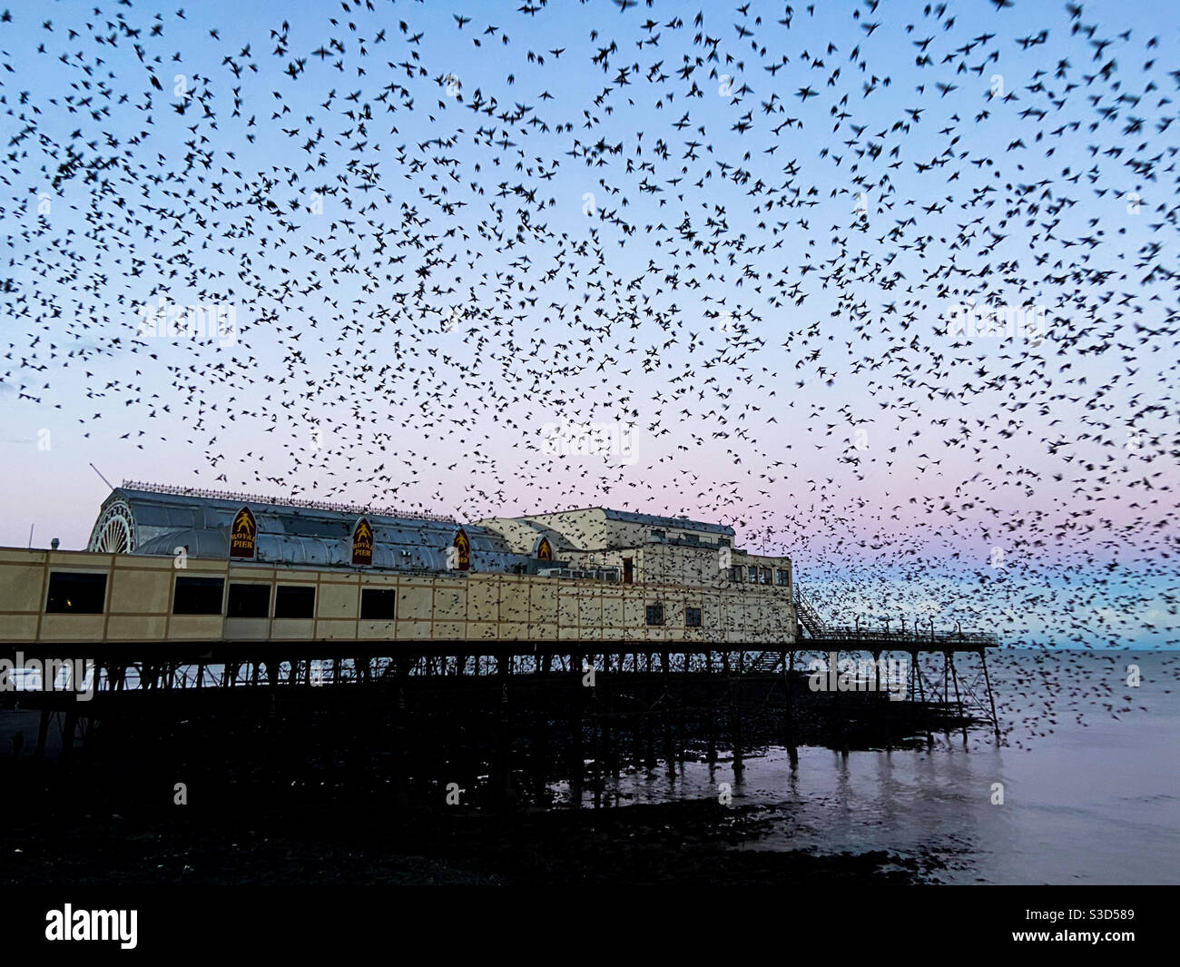 The royal pier aberystwyth hi-res stock photography and images - Alamy