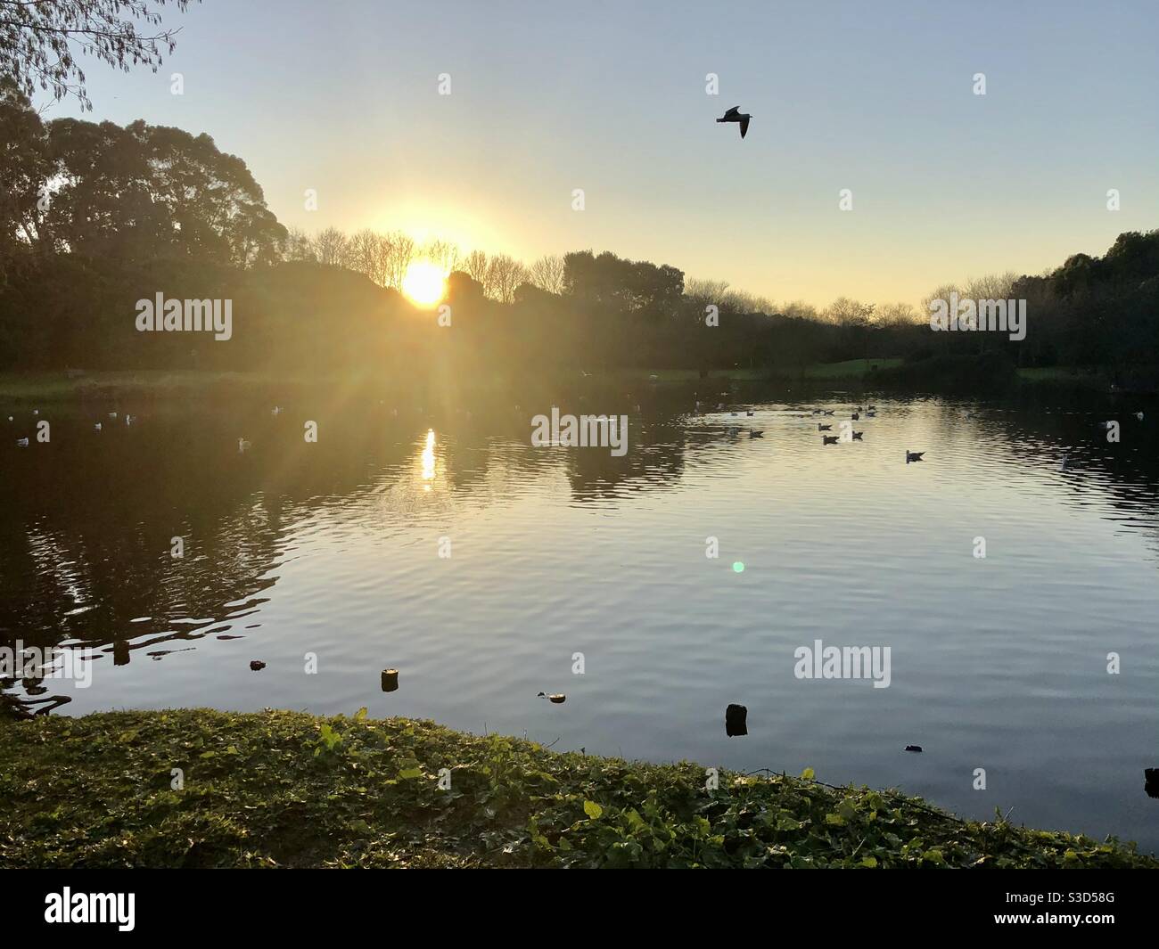 Nature caption hi-res stock photography and images - Alamy