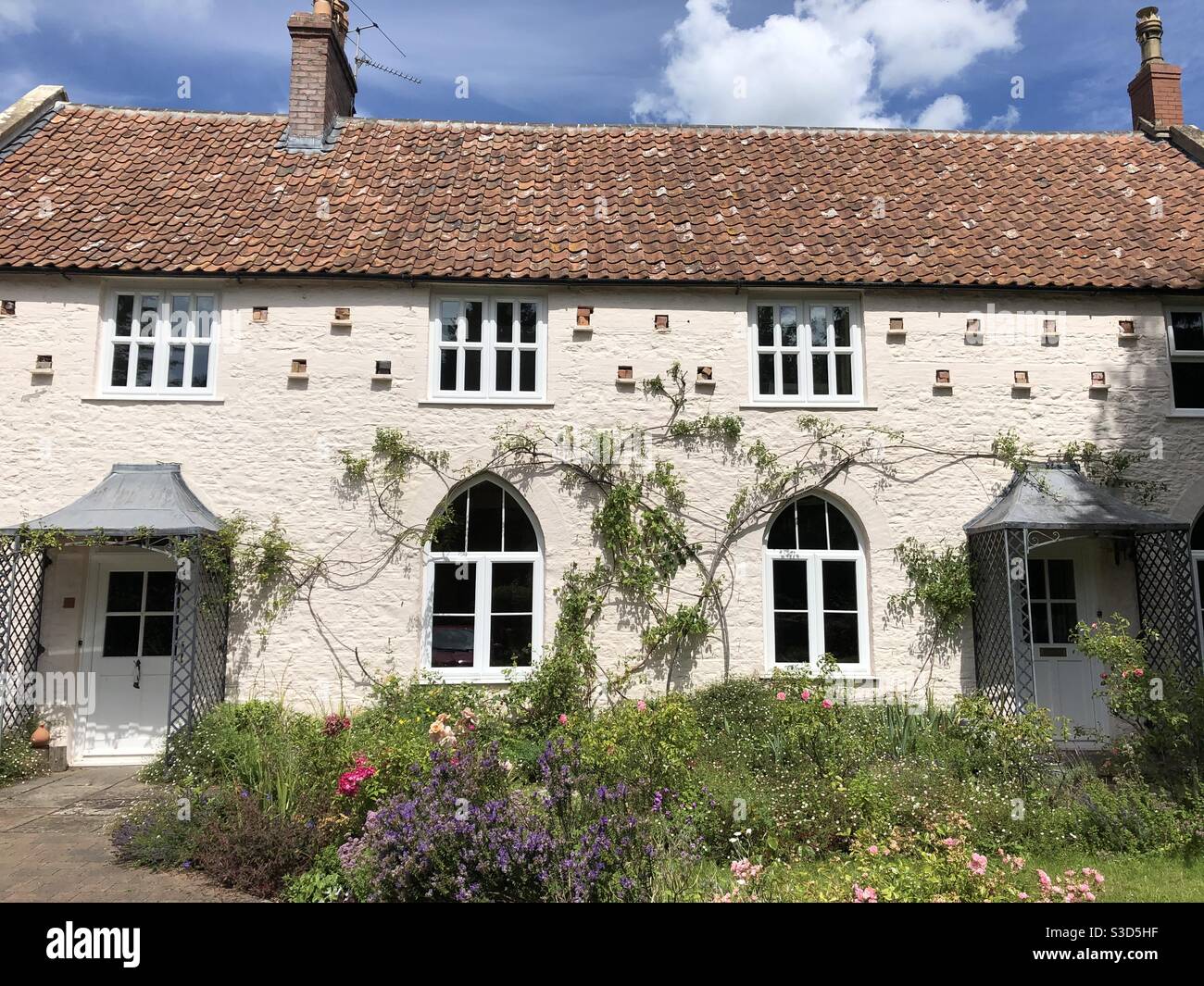 Pigeon cot hi-res stock photography and images - Alamy