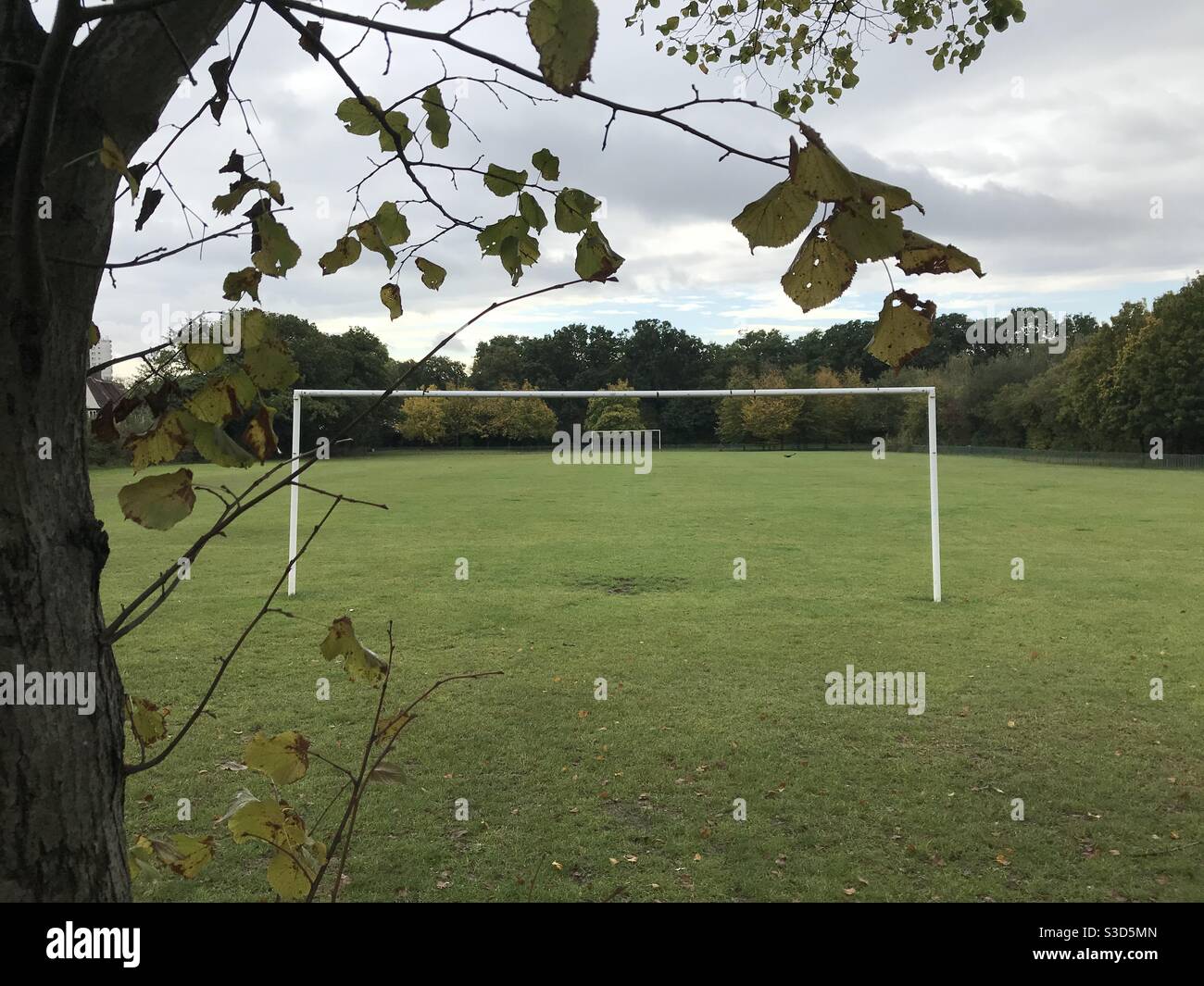 Goal on football pitch Stock Photo - Alamy