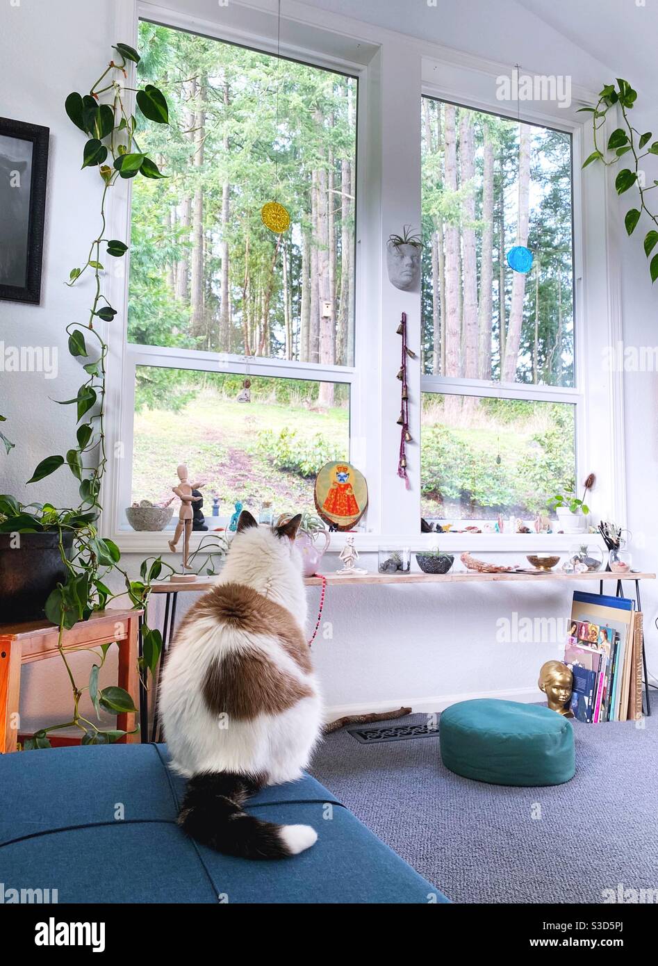 Out to forest hi-res stock photography and images - Alamy