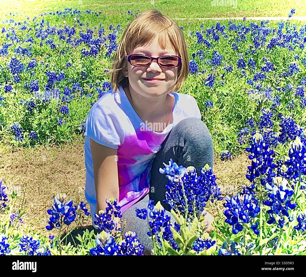 Blue bonnets hi-res stock photography and images - Alamy