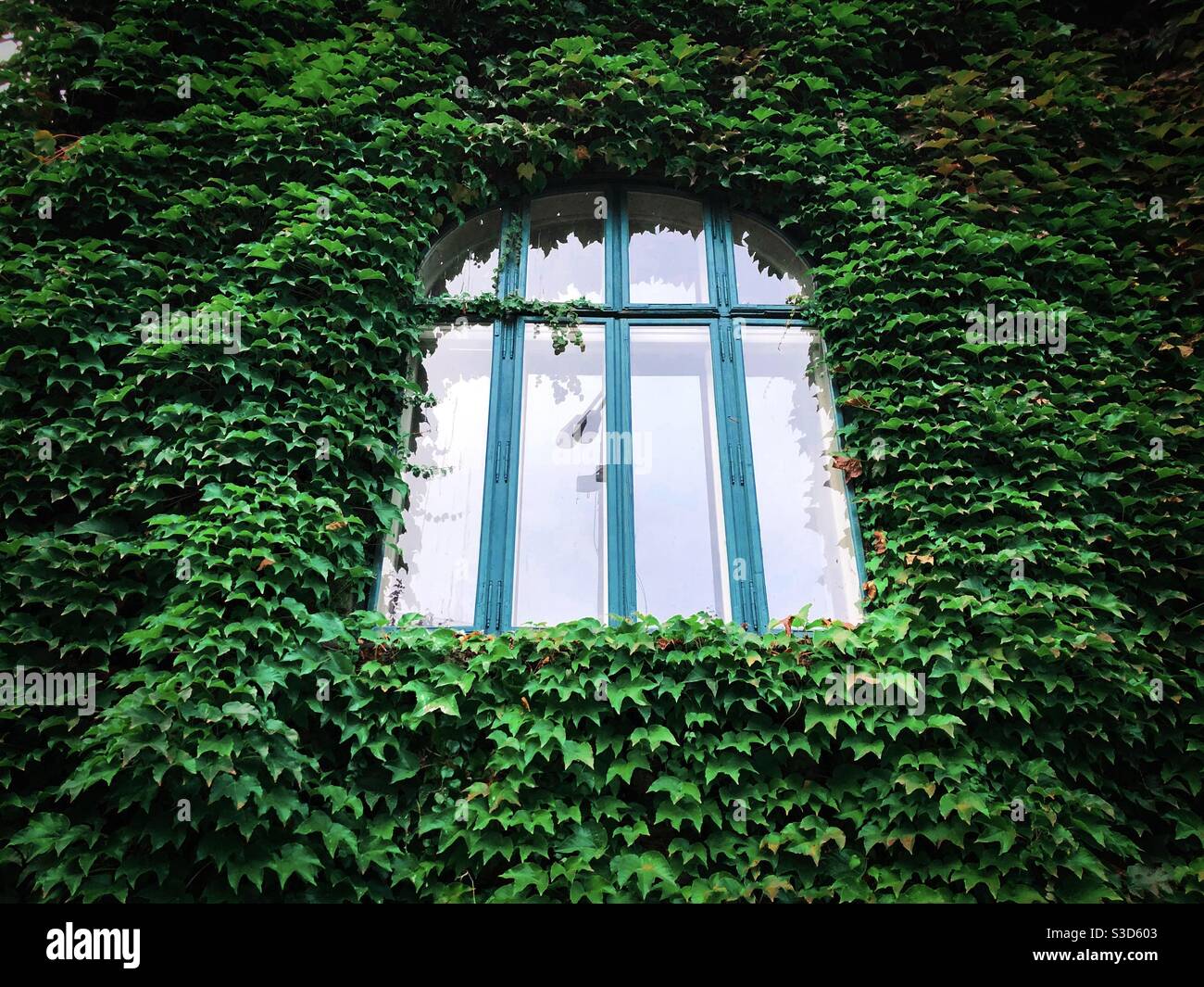 Facade surrounded hi-res stock photography and images - Alamy