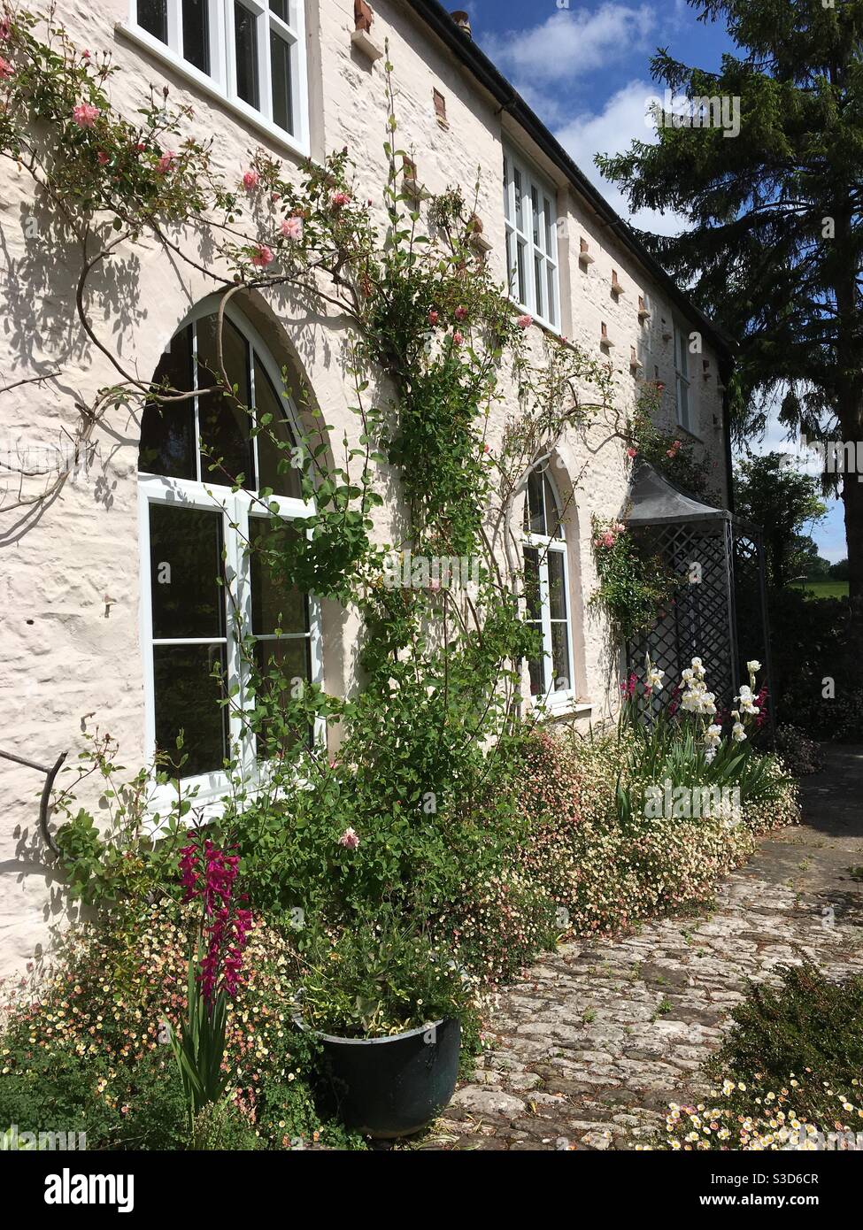 Rose country hi-res stock photography and images - Alamy