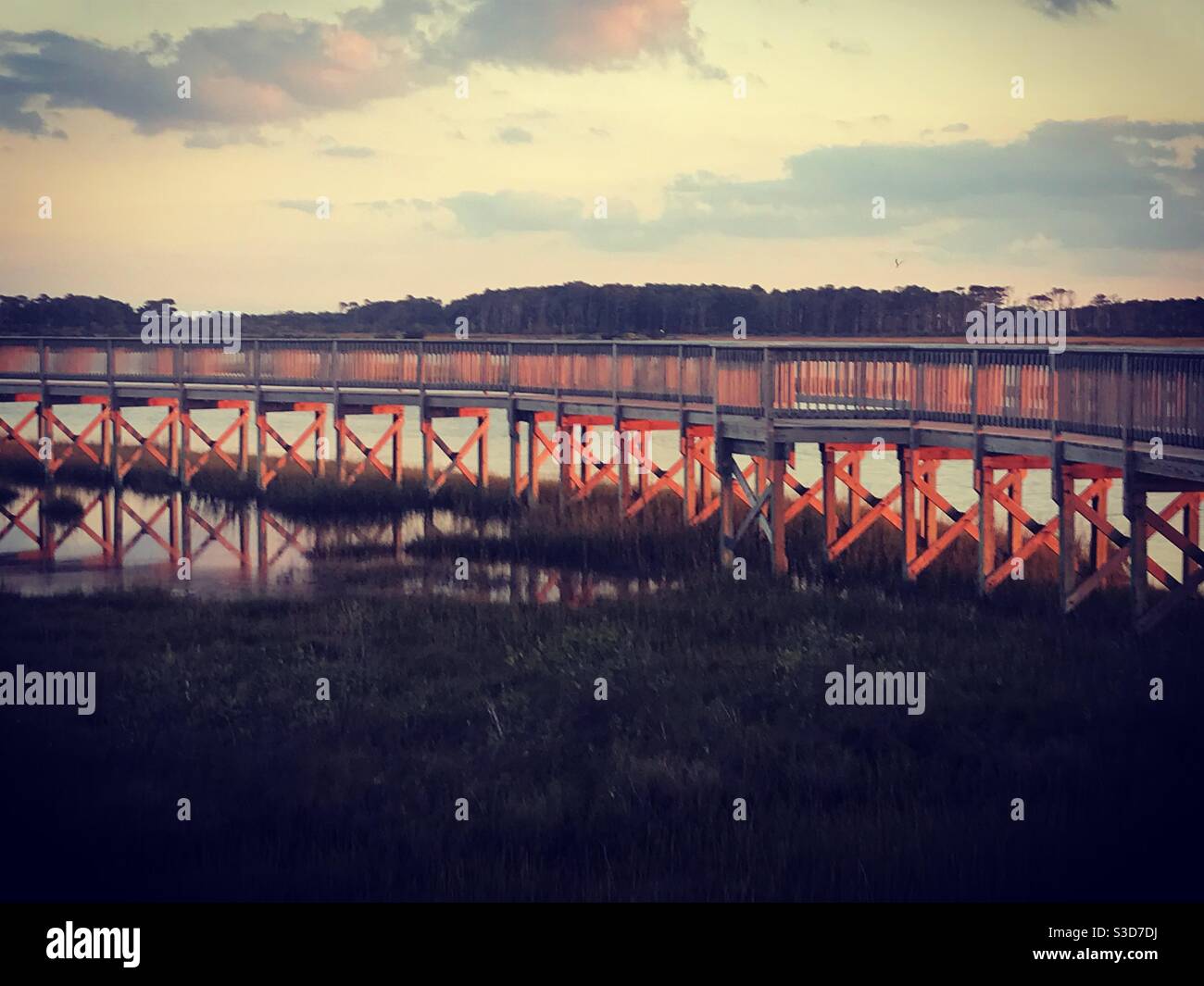 Wetlands walkway bridge hi-res stock photography and images - Alamy