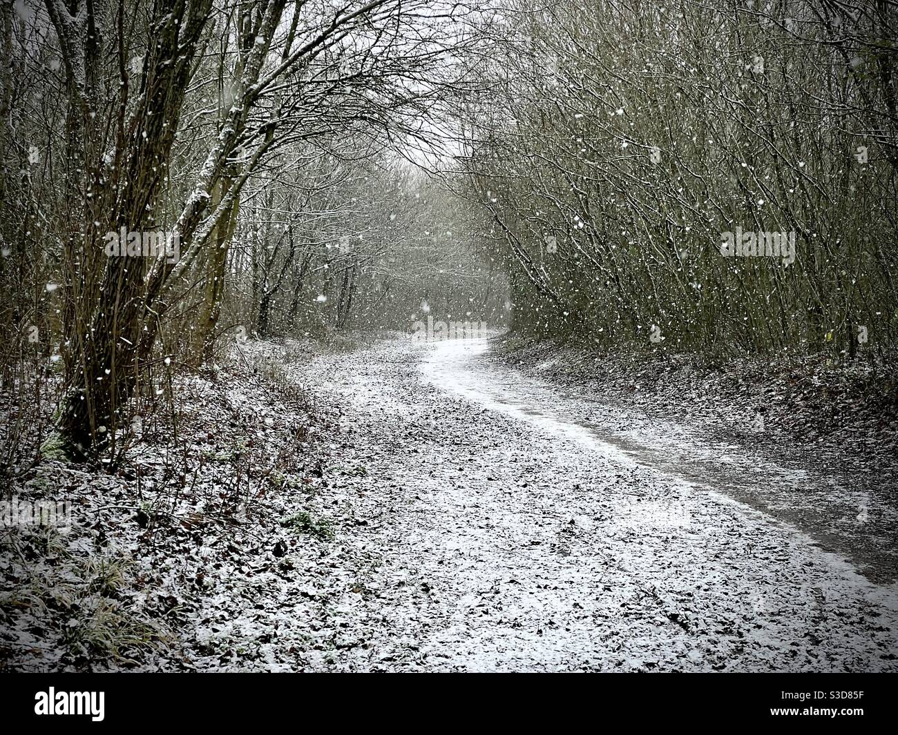 Countryside snow scene Stock Photo - Alamy