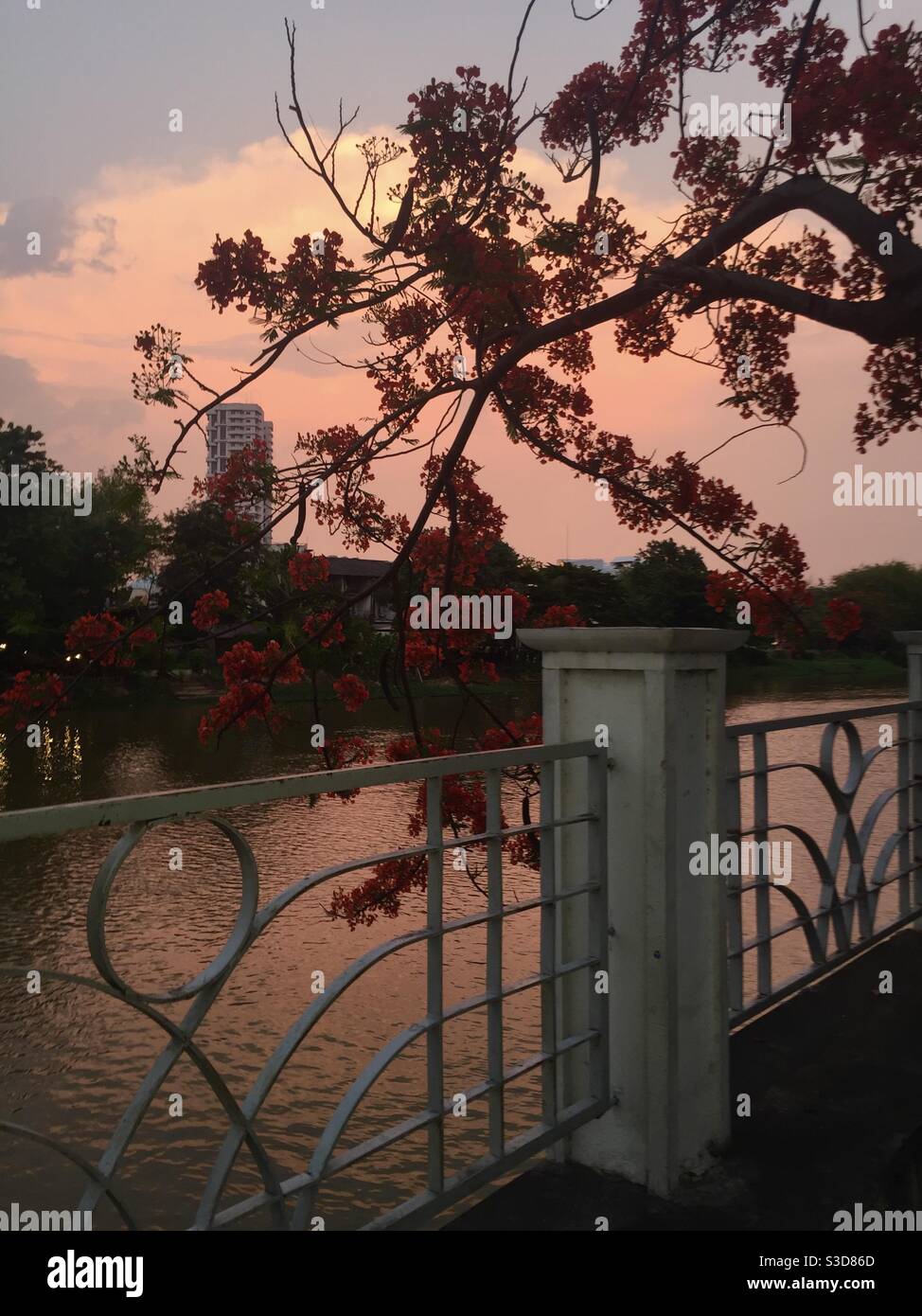 Thailand chiang mai sunset hi-res stock photography and images - Alamy