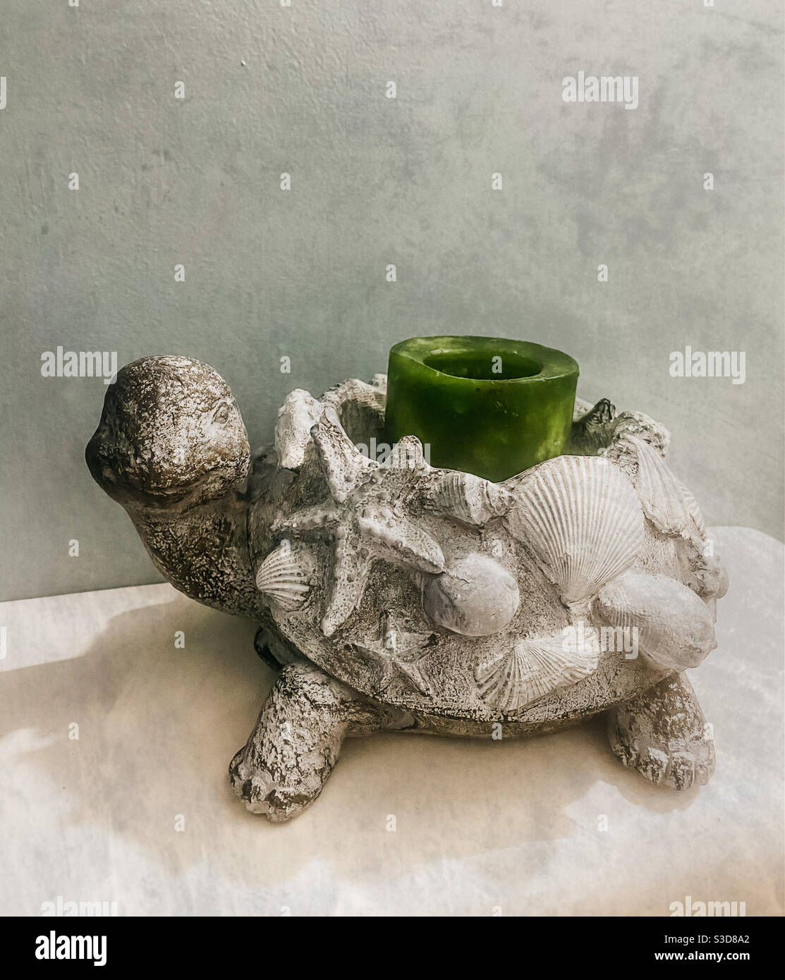 Seashell at turtle beach hi-res stock photography and images - Alamy