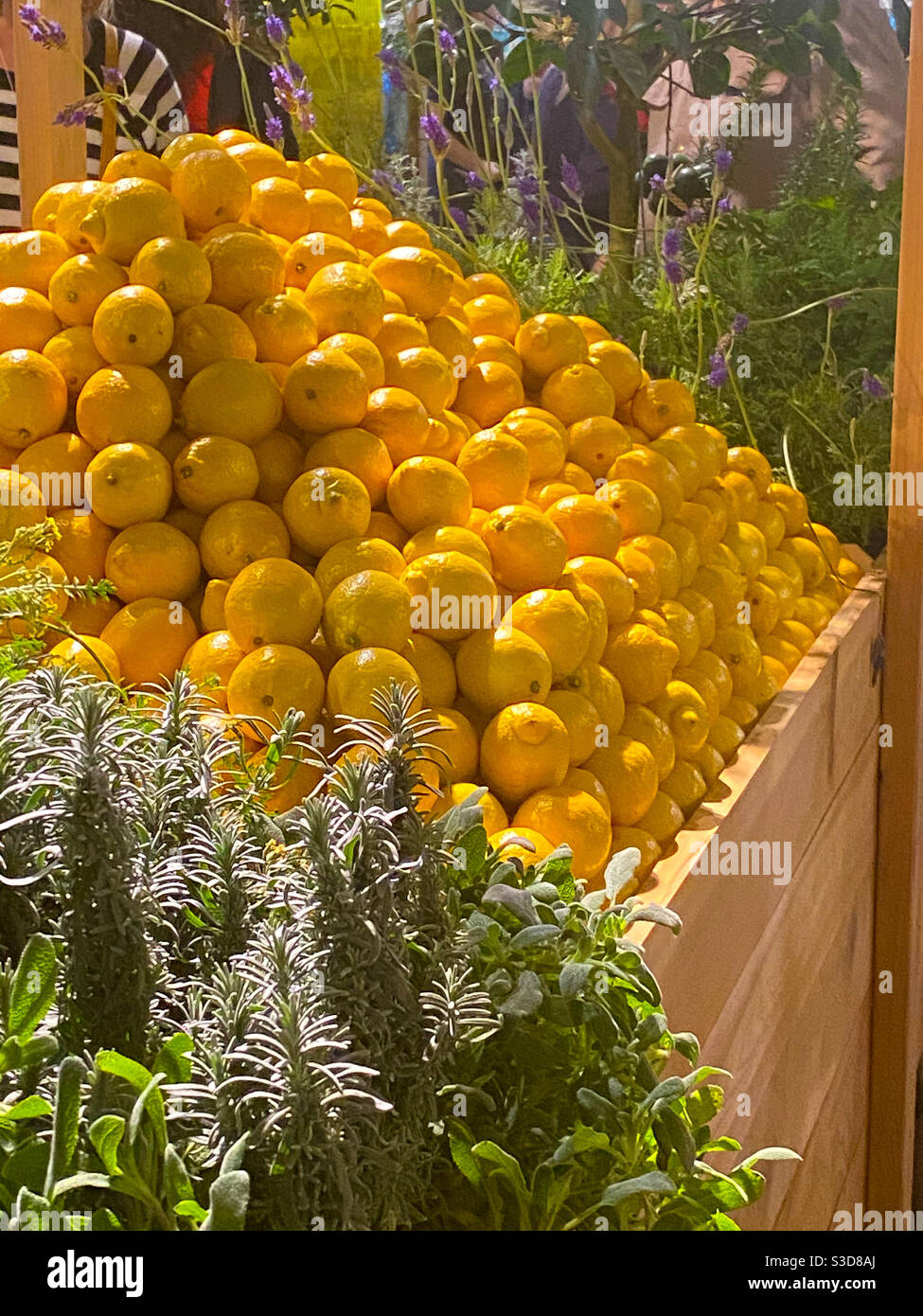 Lemon fruit display hi-res stock photography and images - Alamy