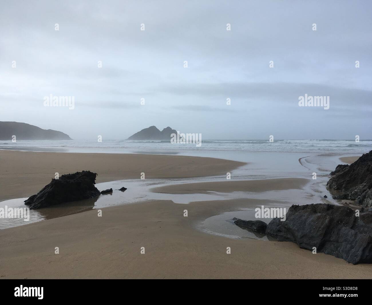 Gull and rock hi-res stock photography and images - Alamy