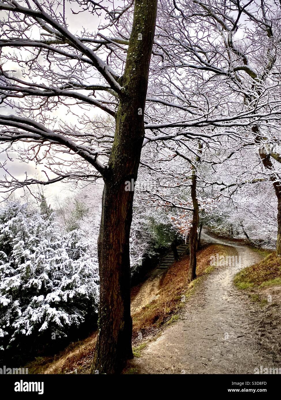 Pathway winding hi-res stock photography and images - Alamy