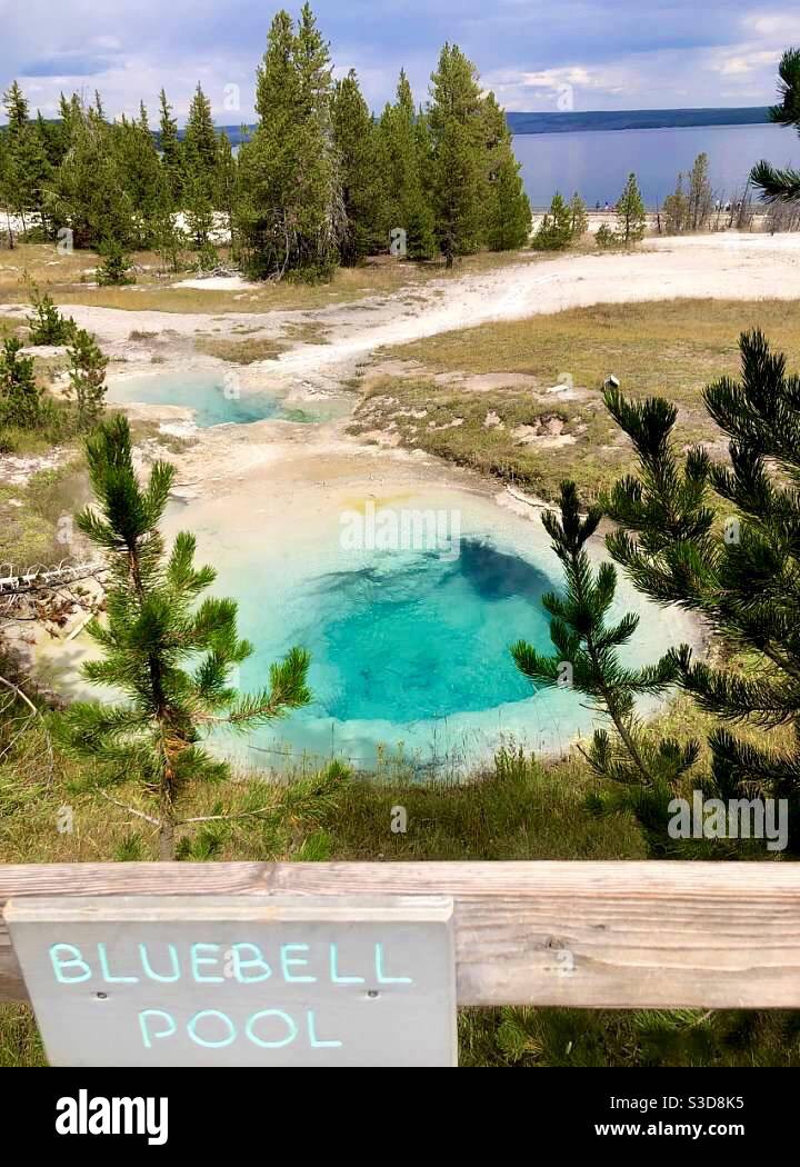 Bluebell pool hi-res stock photography and images - Alamy