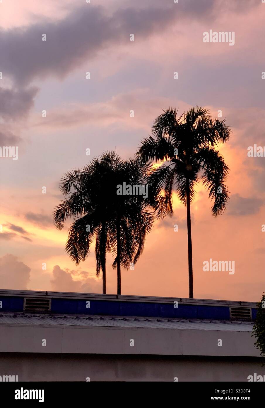 Paisaje paisajes paisajes paisajes hi-res stock photography and images ...