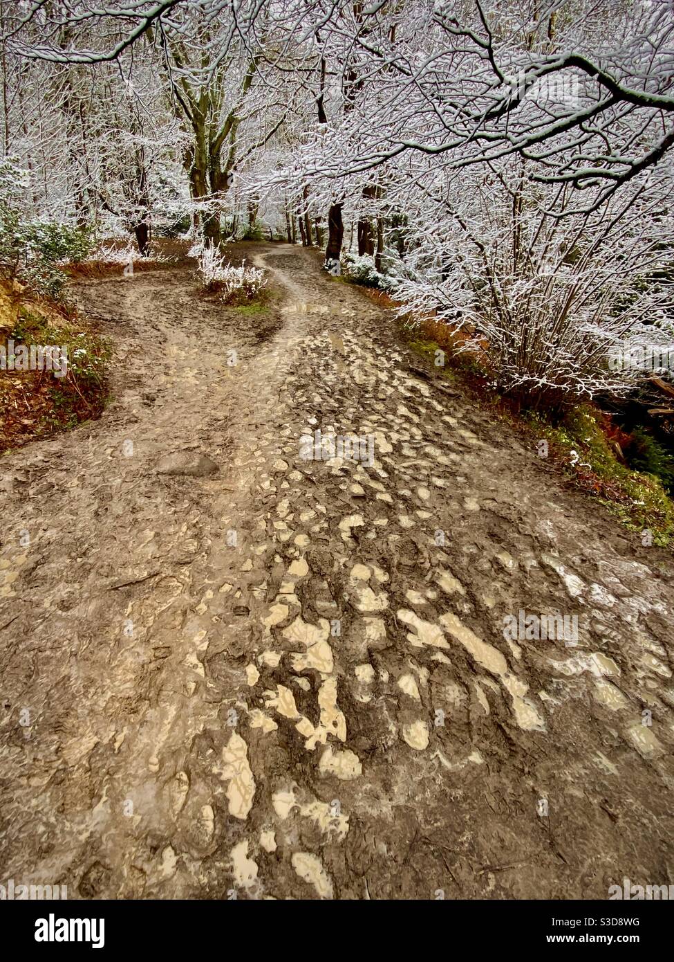 Muddy Footprints High Resolution Stock Photography and Images - Alamy